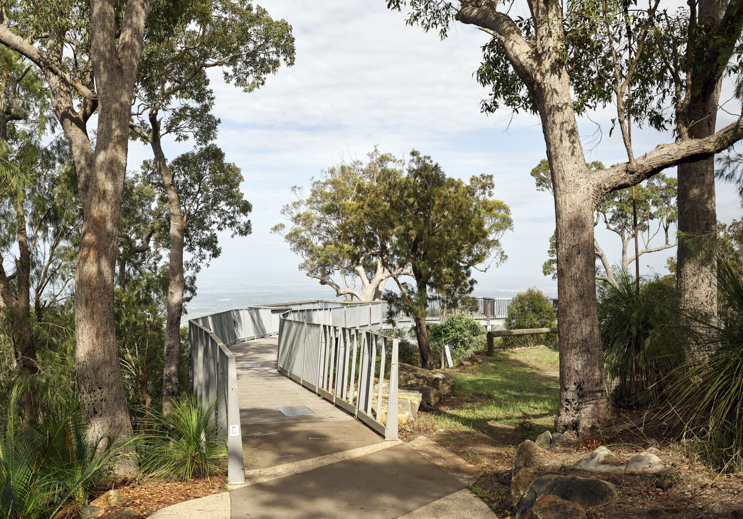 Mt Archer - Treetop Boardwalk and park revitalization by Design ...