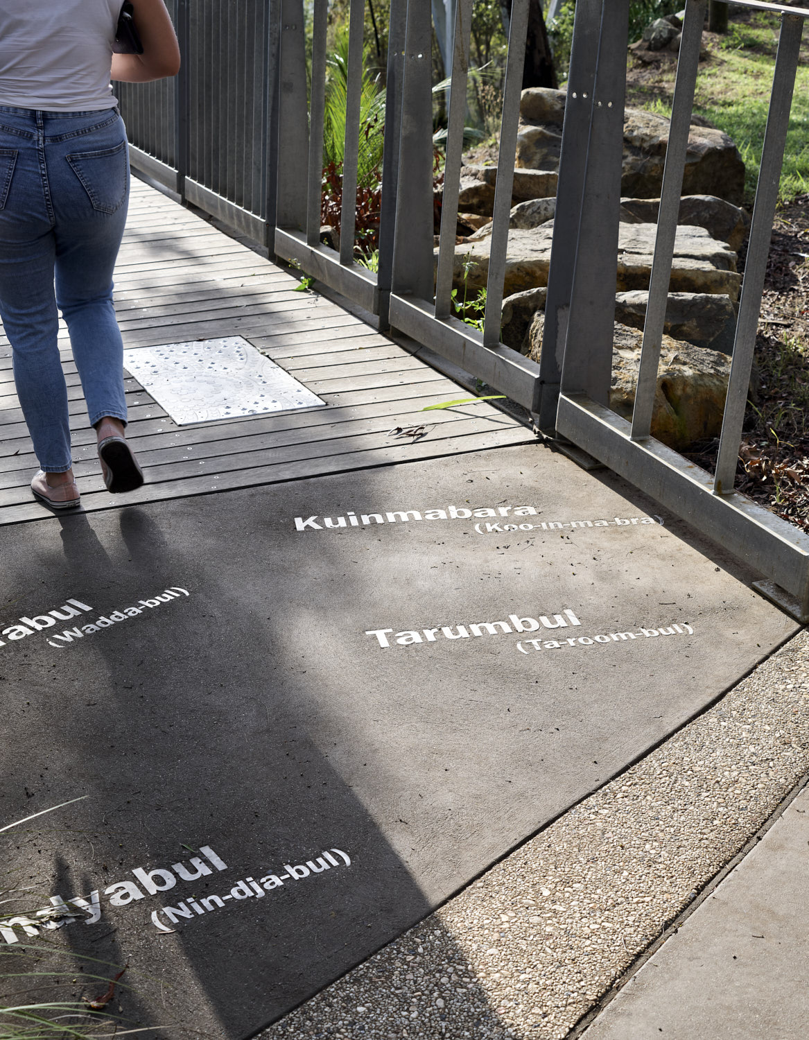Mt Archer - Treetop Boardwalk and park revitalization by Design ...