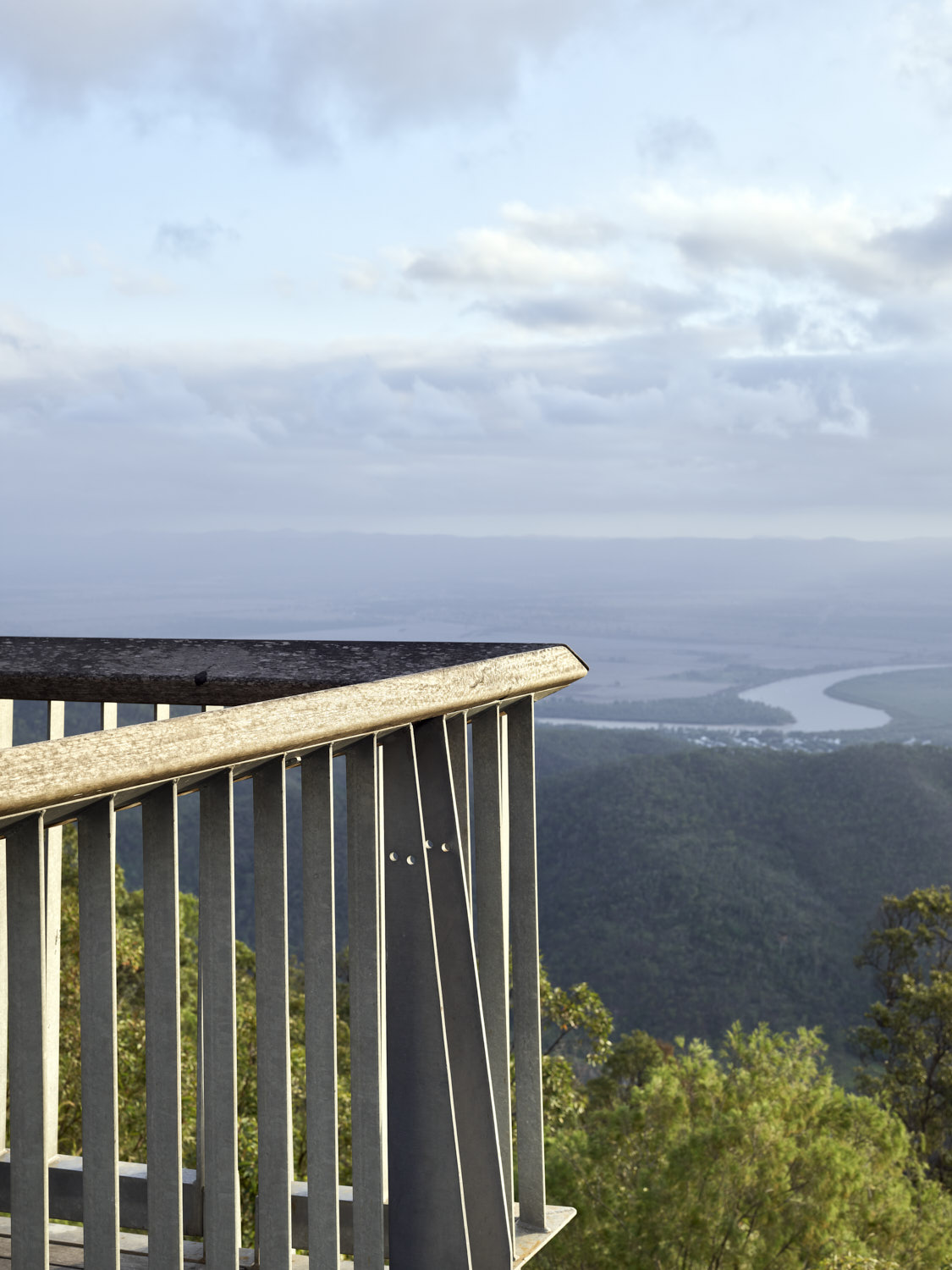 Mt Archer - Treetop Boardwalk and park revitalization by Design ...