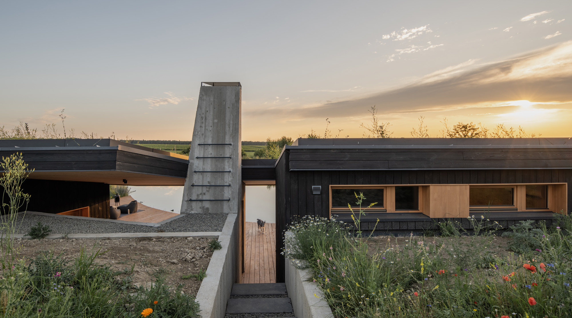 CLT House by Hello Wood - Architizer