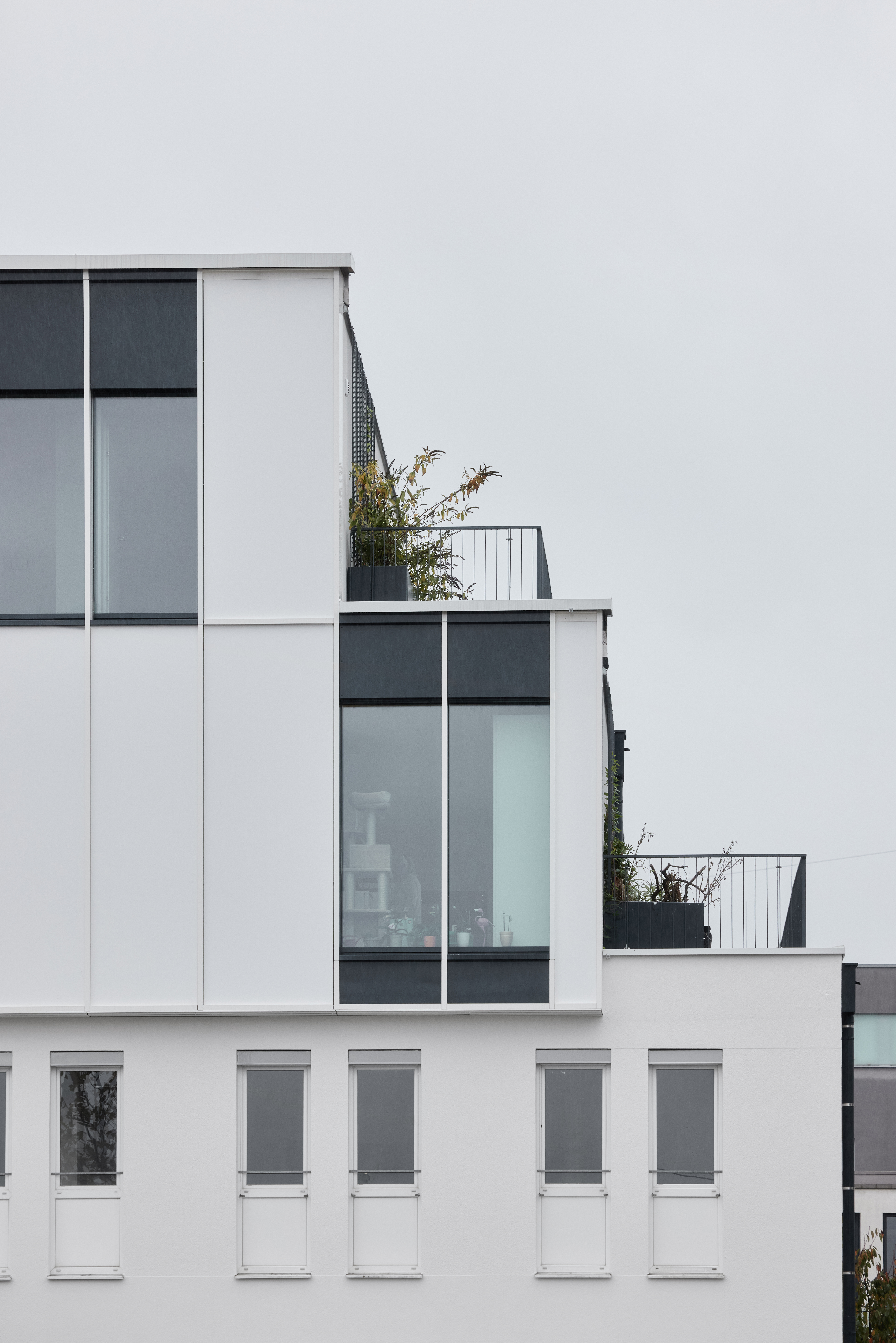 MB 110 | Bierbrunnen by Lechner & Lechner Architects - Architizer