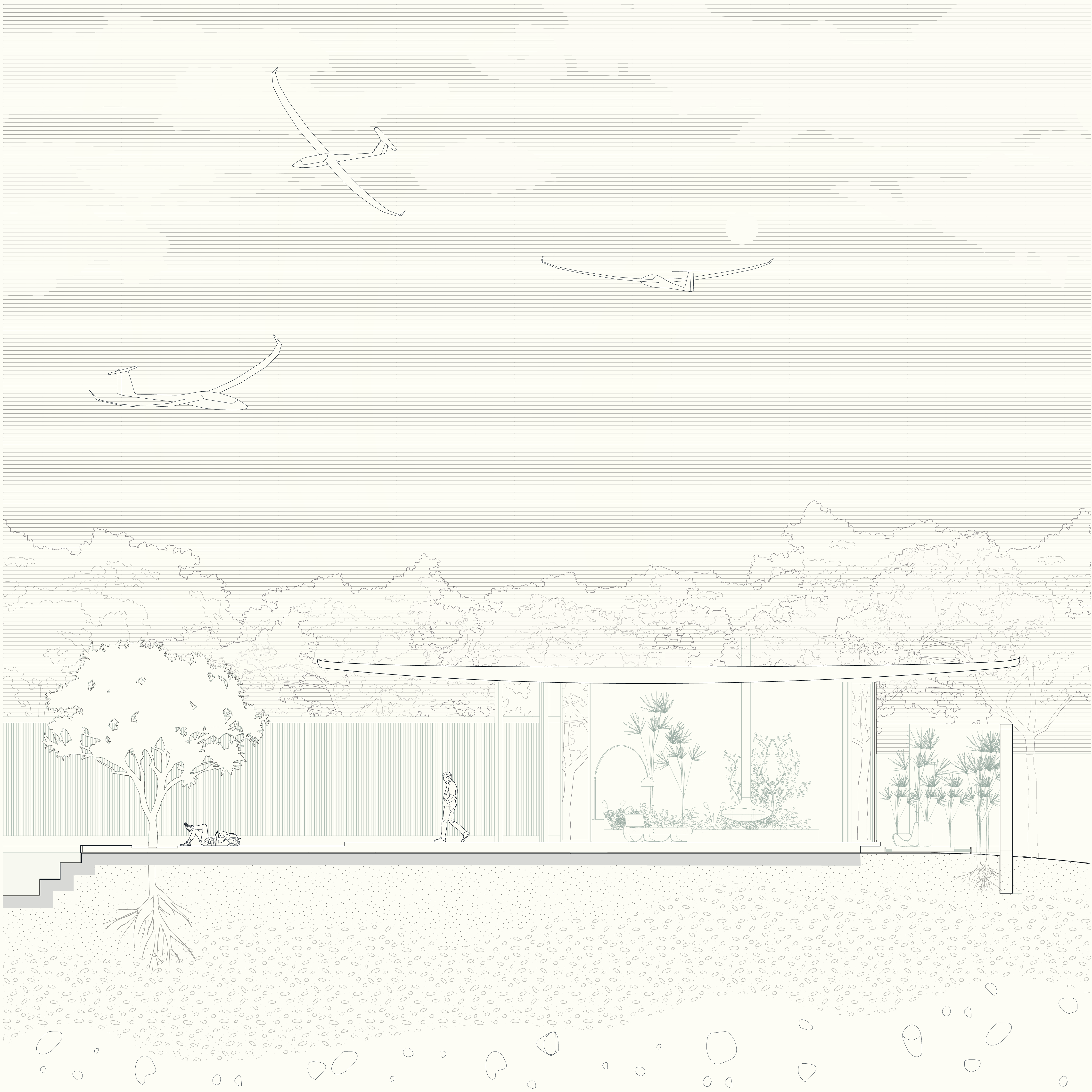 Aviator's House by castellari arquitetura - Architizer