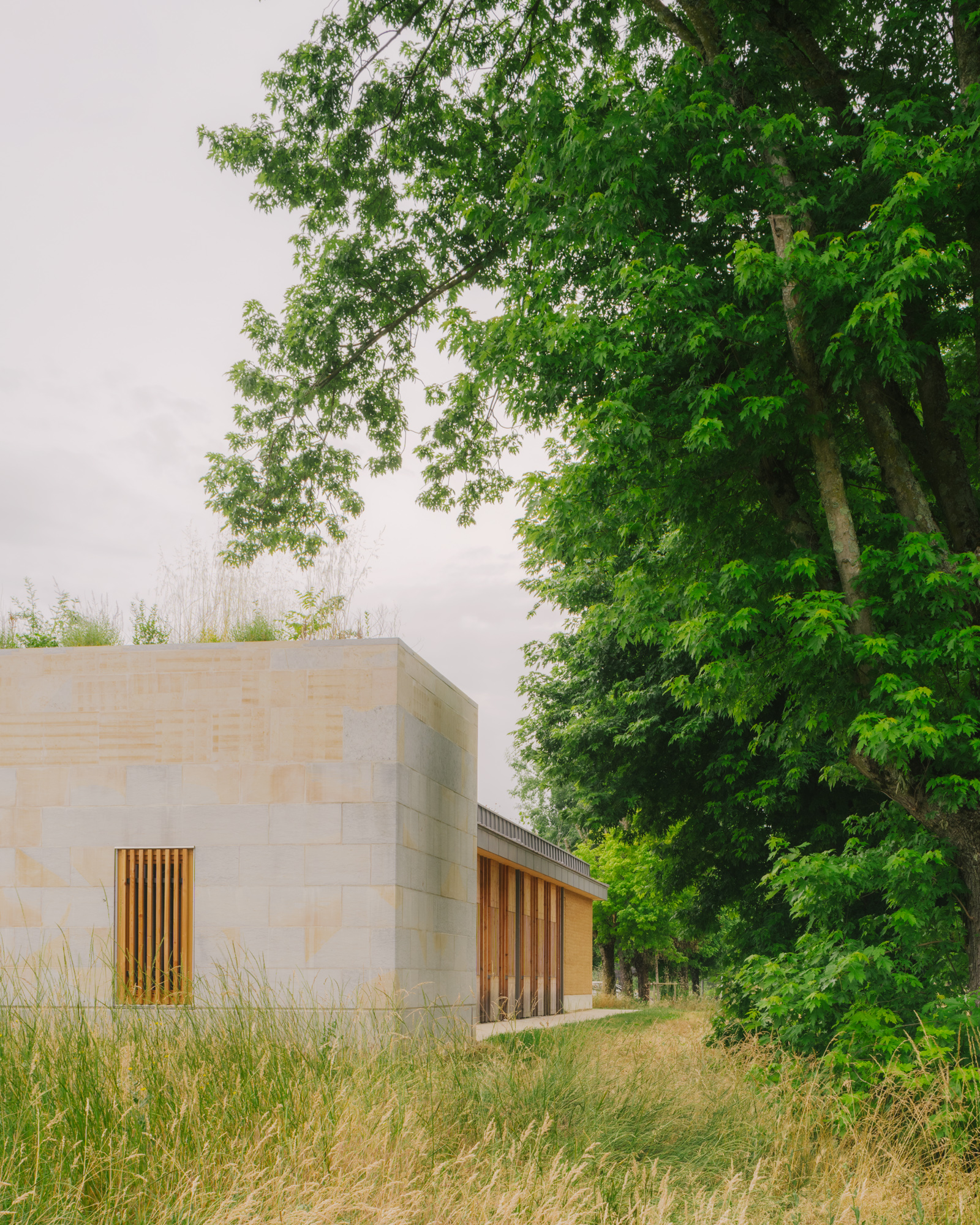 École Primaire Jean Rostand by designbuildLAB - Architizer