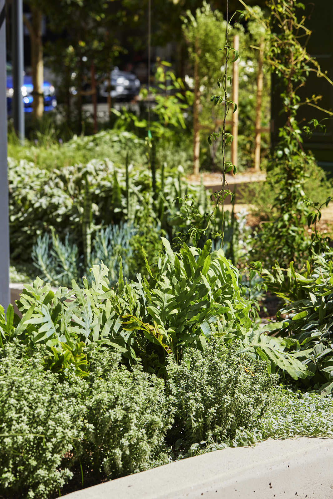 Berry Square by ASPECT Studios - Architizer