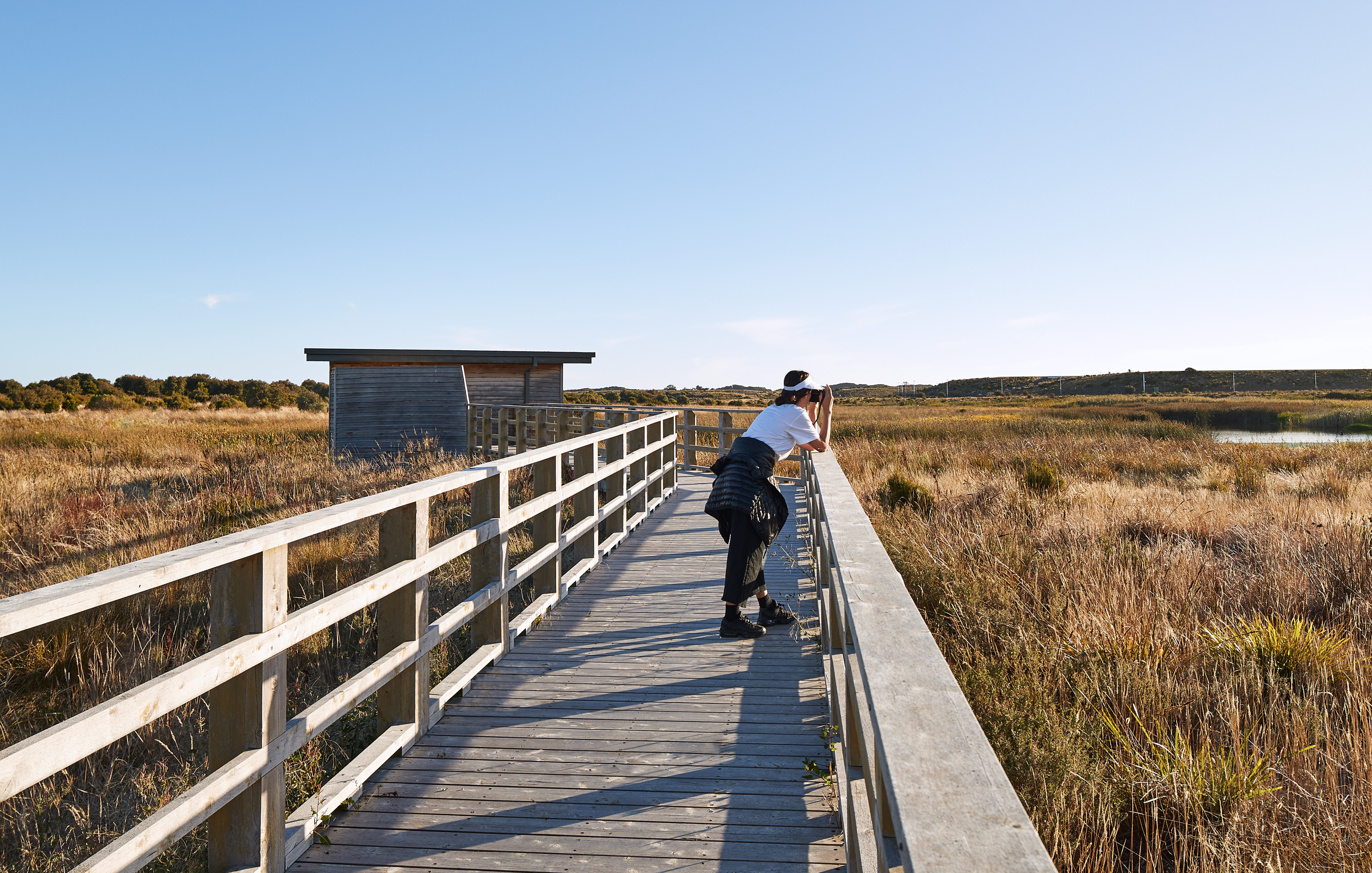 Victorian Desalination & Ecological Reserve by ASPECT Studios - Architizer
