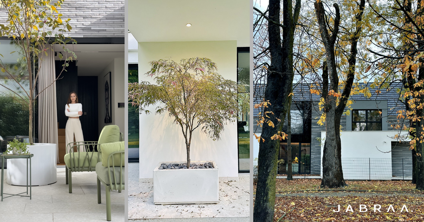 Forrest House by JABRAARCHITECTS - Architizer