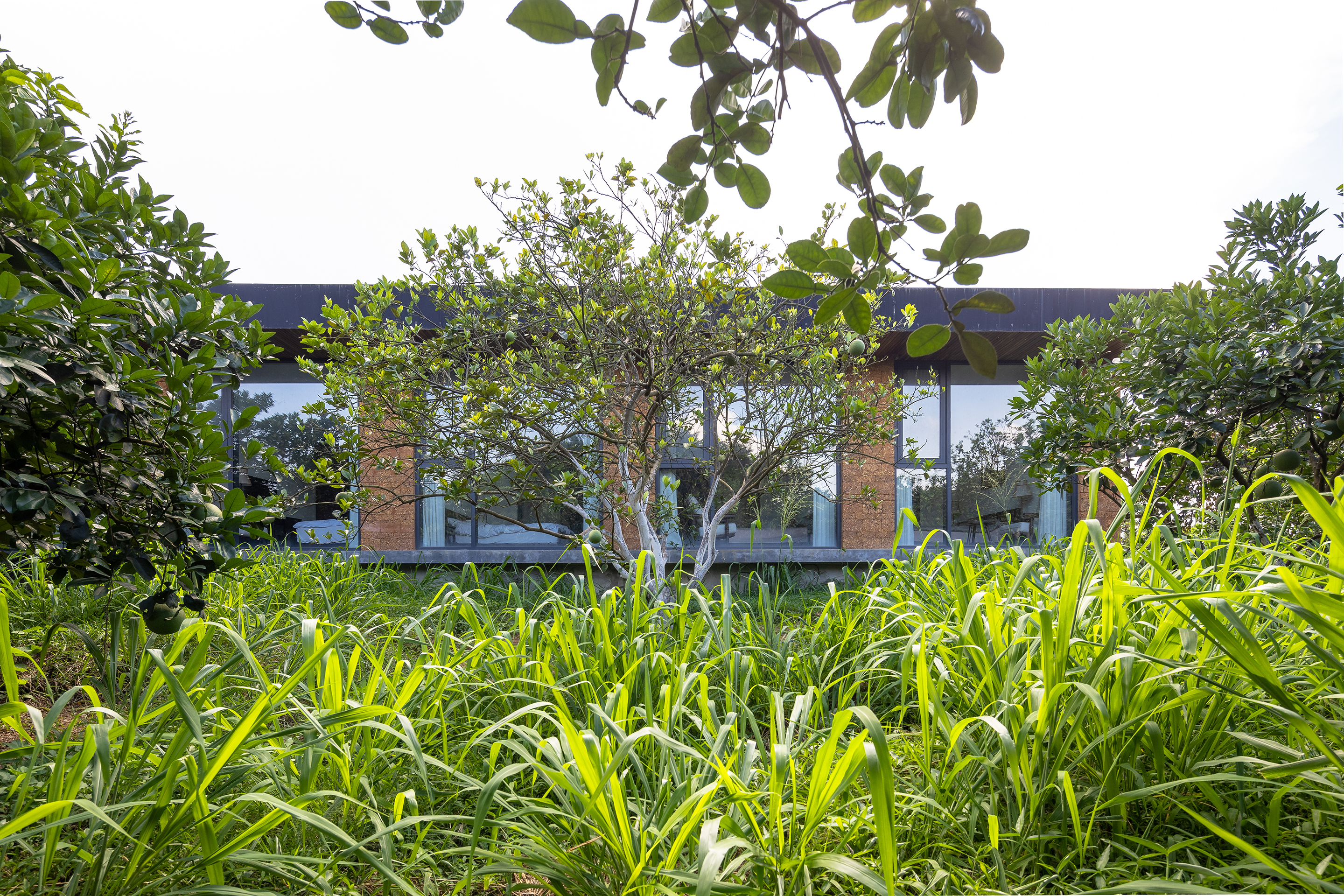 Dong Mo Farmhouse by idee architects Vietnam - Architizer