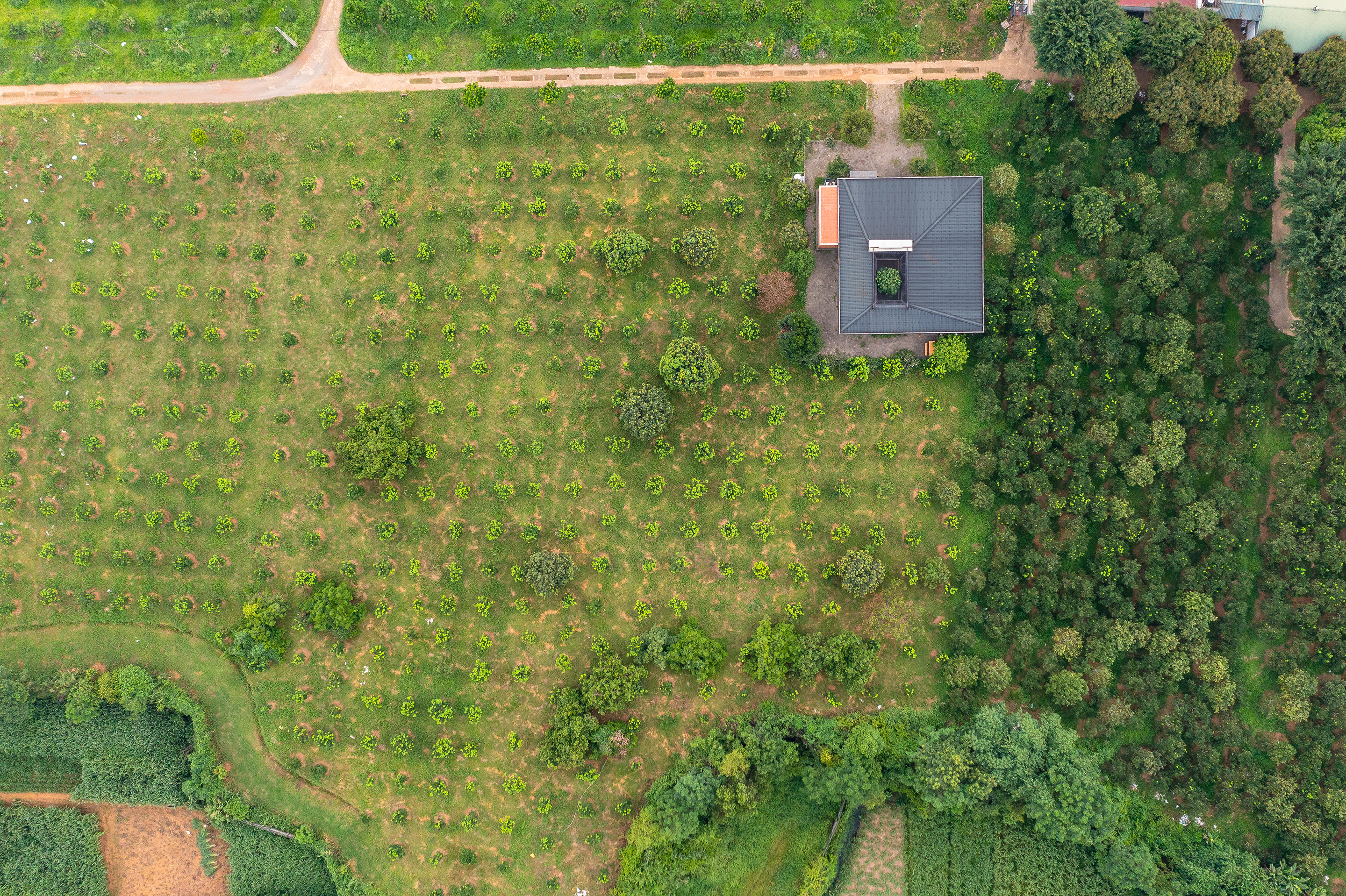 Dong Mo Farmhouse by idee architects Vietnam - Architizer