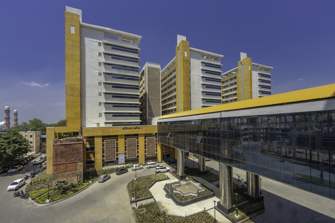 Hamidia Hospital by CP Kukreja Architects - Architizer
