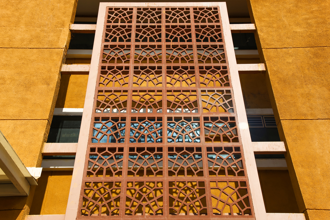 Hamidia Hospital by CP Kukreja Architects - Architizer