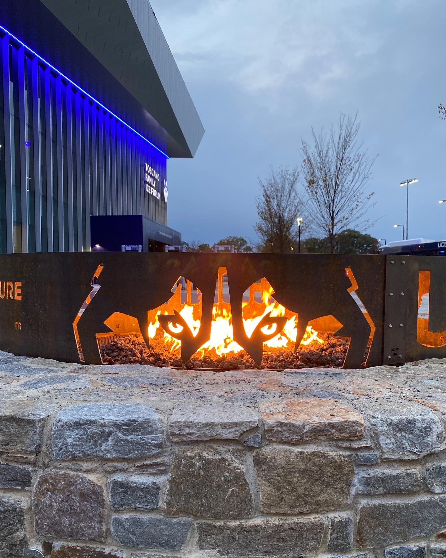 Toscano Family Ice Forum by JCJ Architecture - Architizer