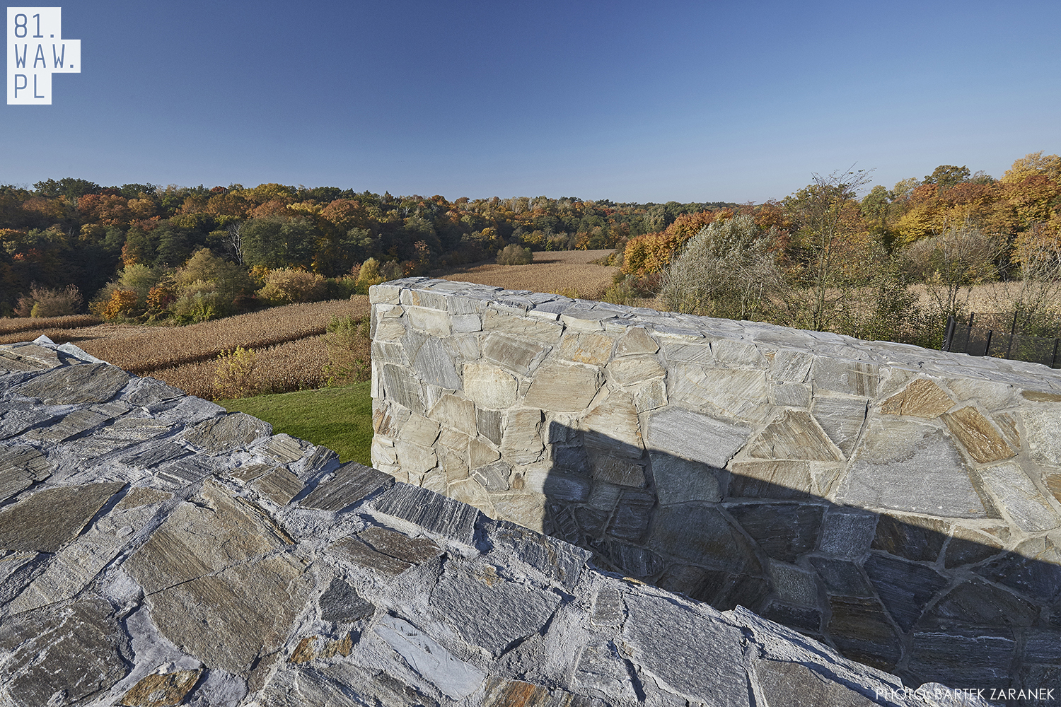 Field House by 81.WAW.PL - Architizer