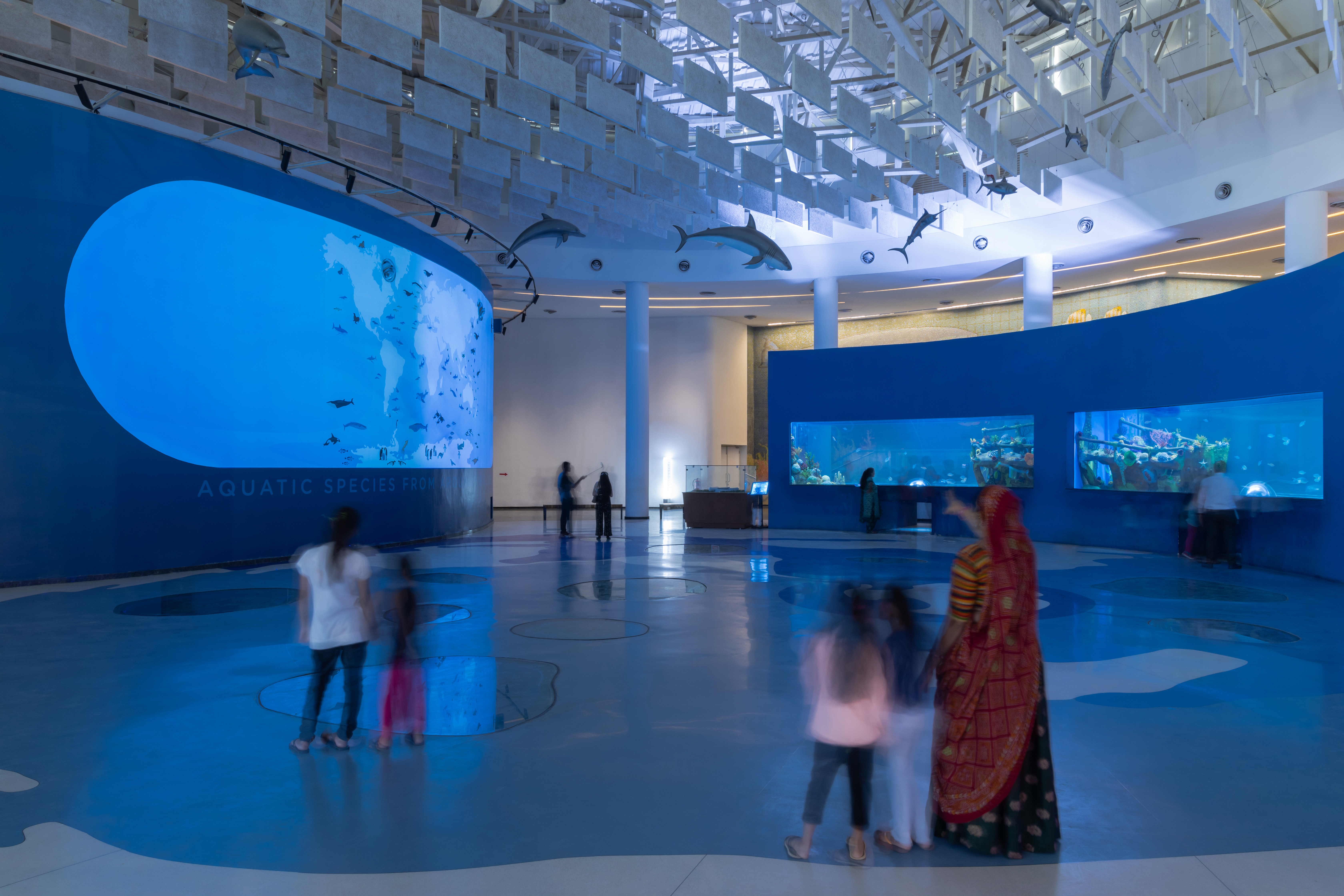 Aquatic Gallery at Science City by INI Design Studio - Architizer