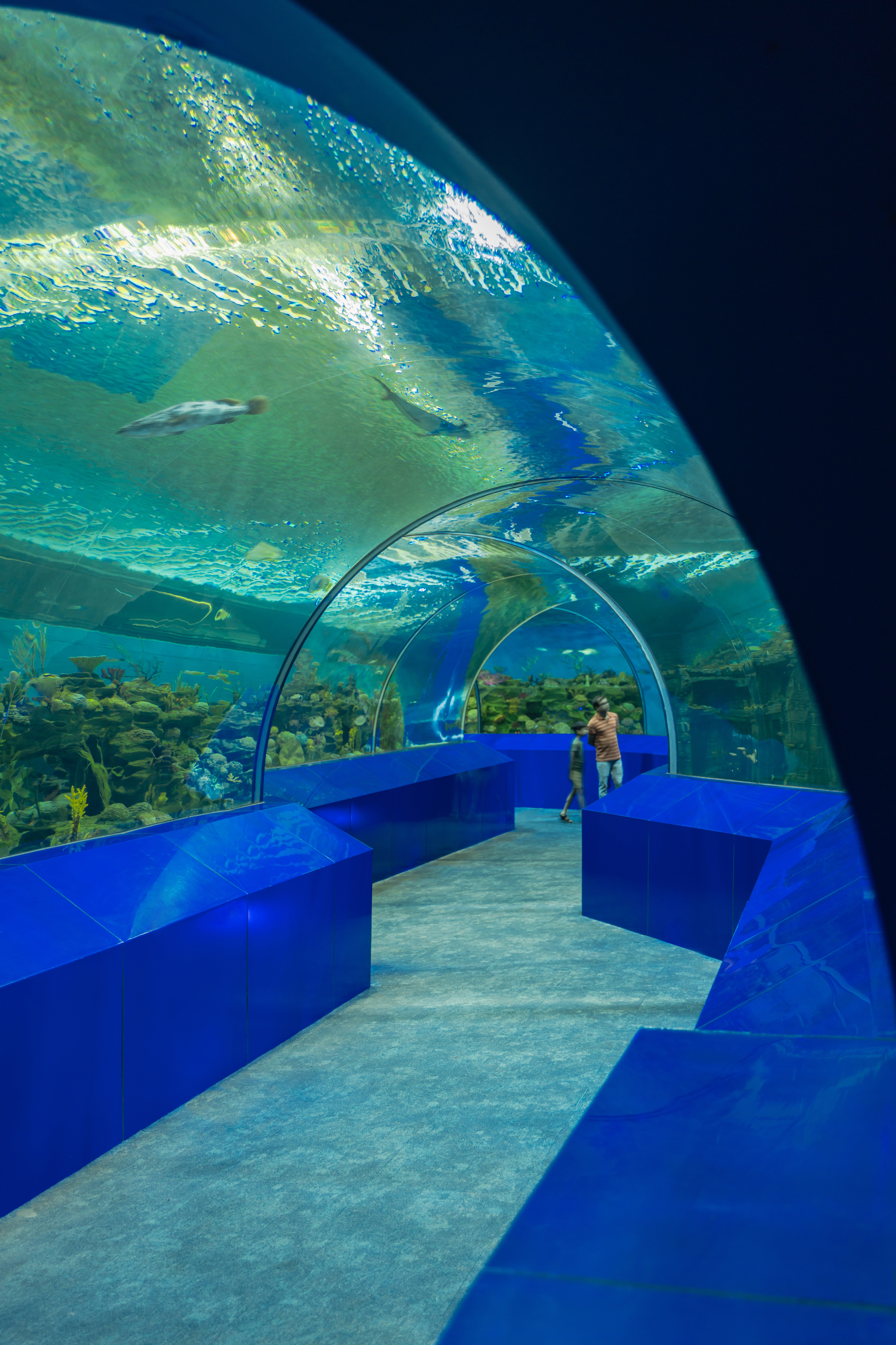 Aquatic Gallery at Science City by INI Design Studio - Architizer