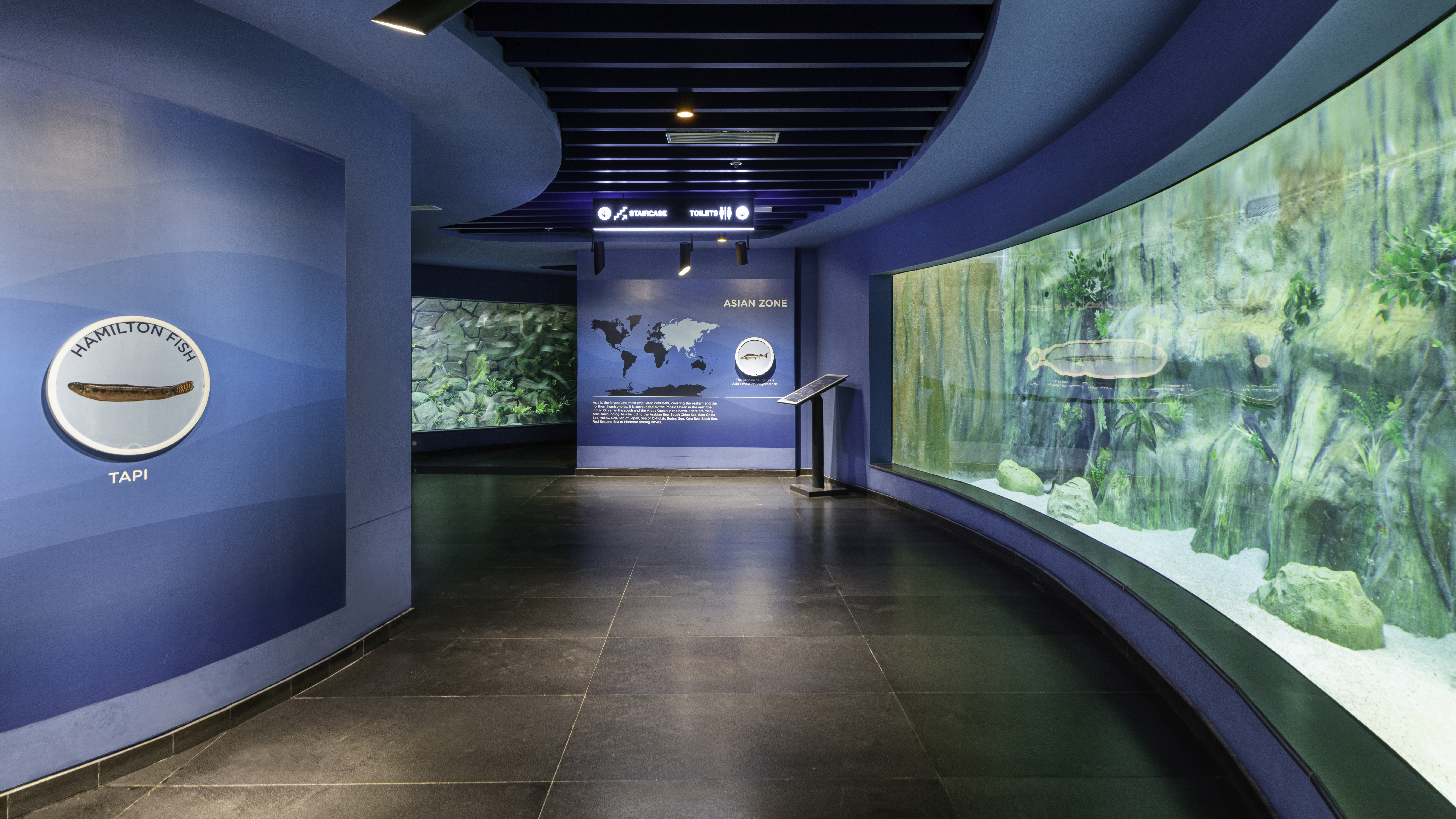 Aquatic Gallery at Science City by INI Design Studio - Architizer