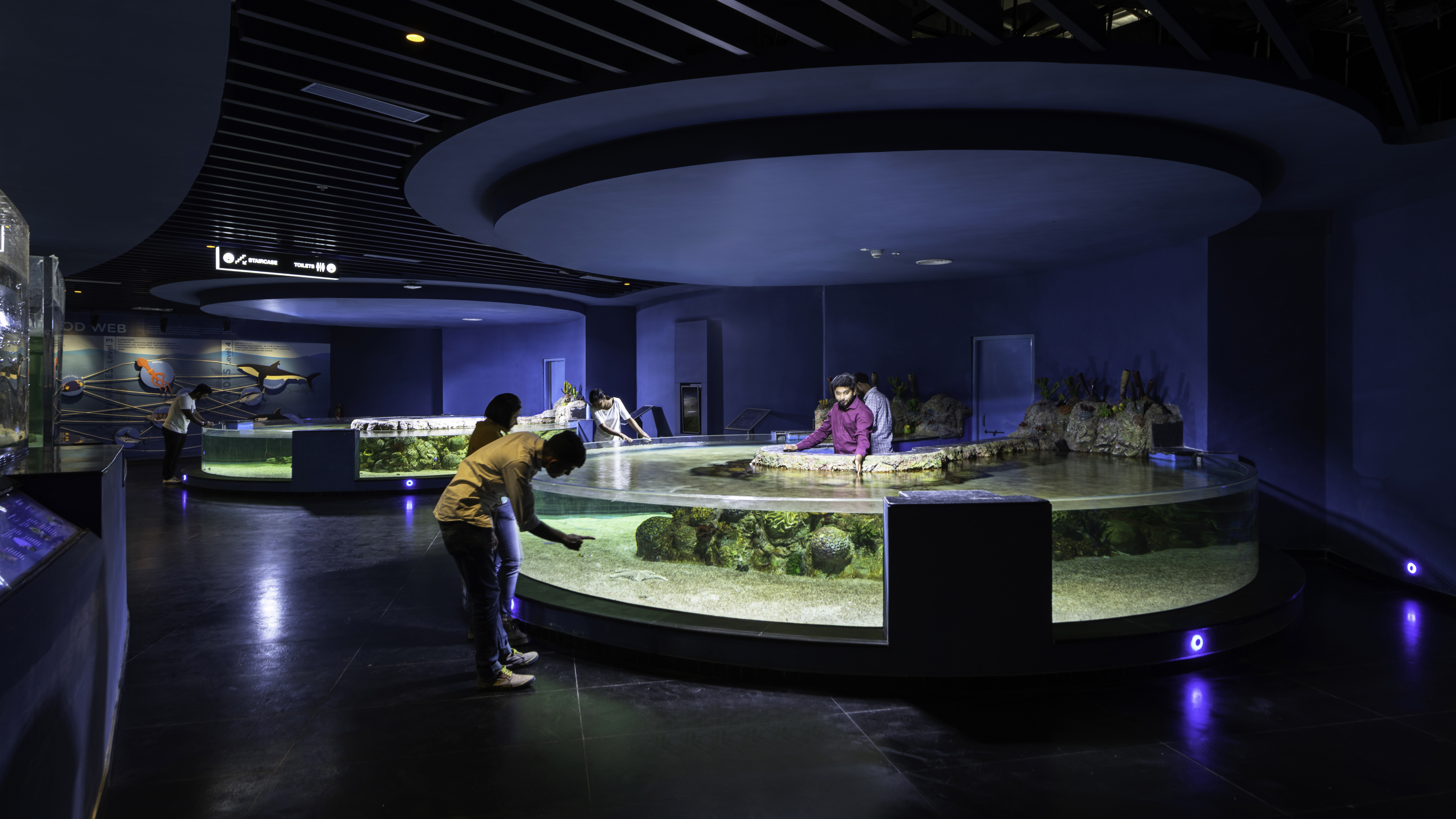 Aquatic Gallery at Science City by INI Design Studio - Architizer