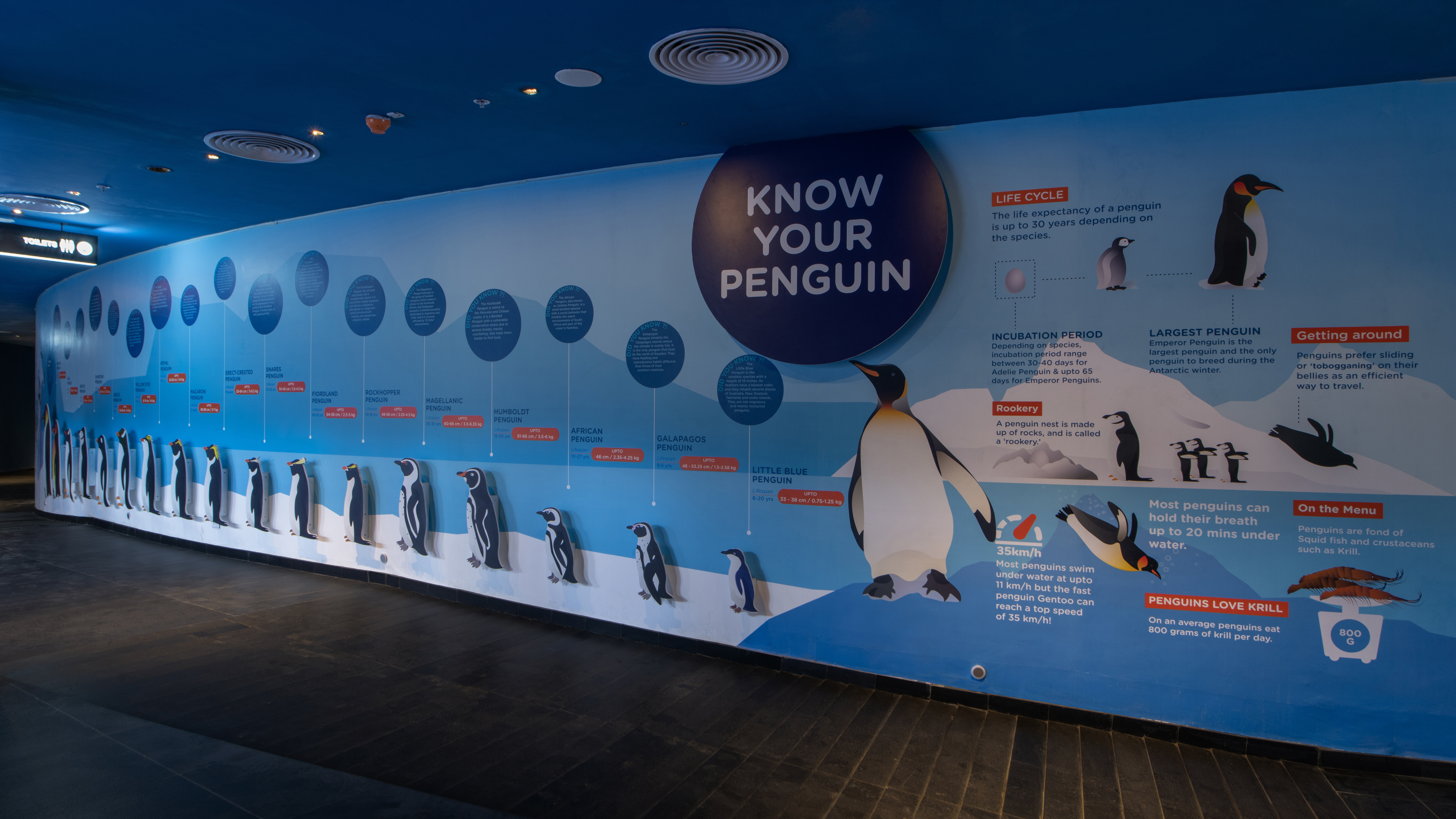 Aquatic Gallery at Science City by INI Design Studio - Architizer