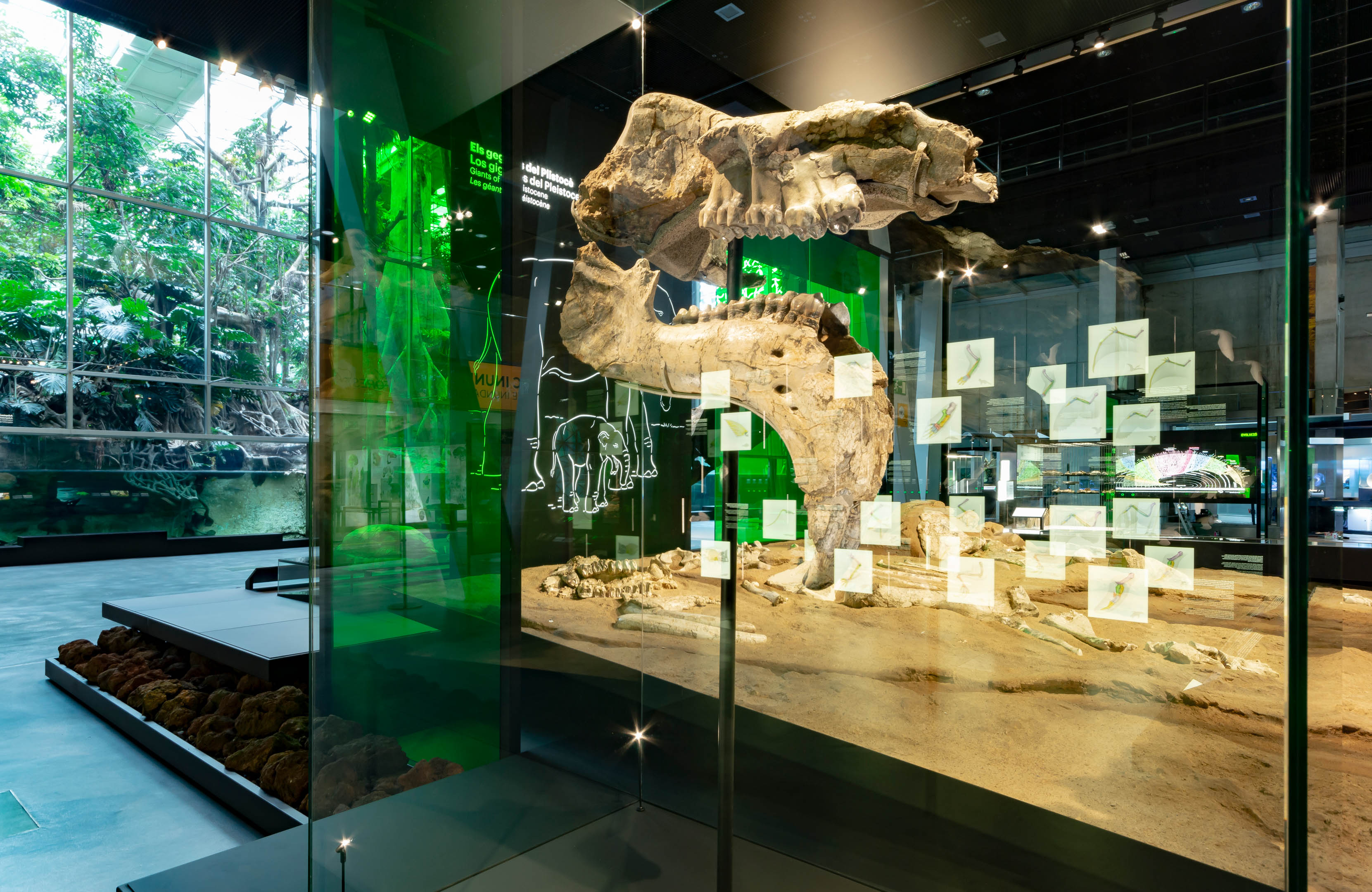 COSMOCAIXA NEW PERMANENT EXHIBITION by Indissoluble S.L. - Architizer