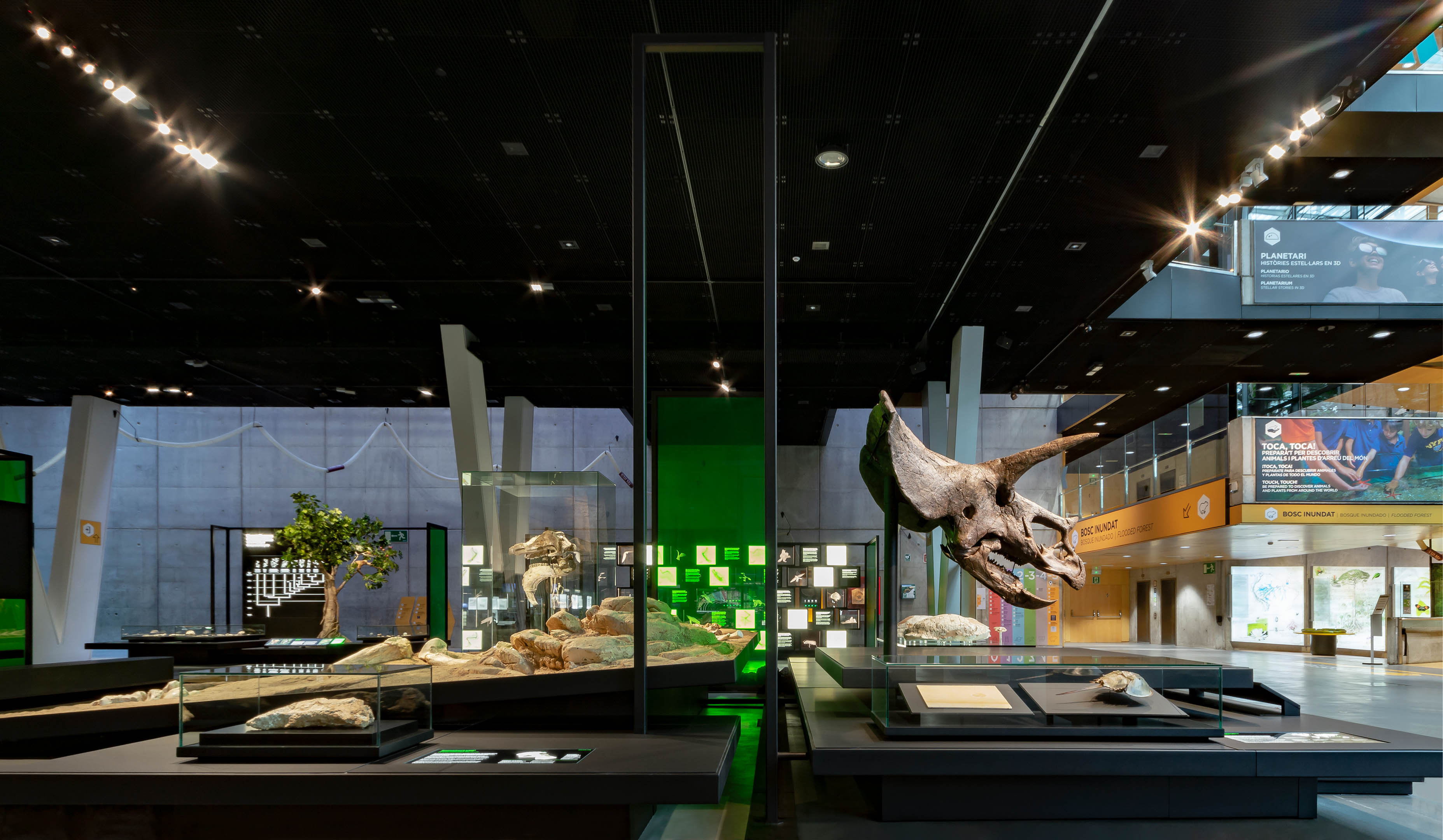 COSMOCAIXA NEW PERMANENT EXHIBITION by Indissoluble S.L. - Architizer