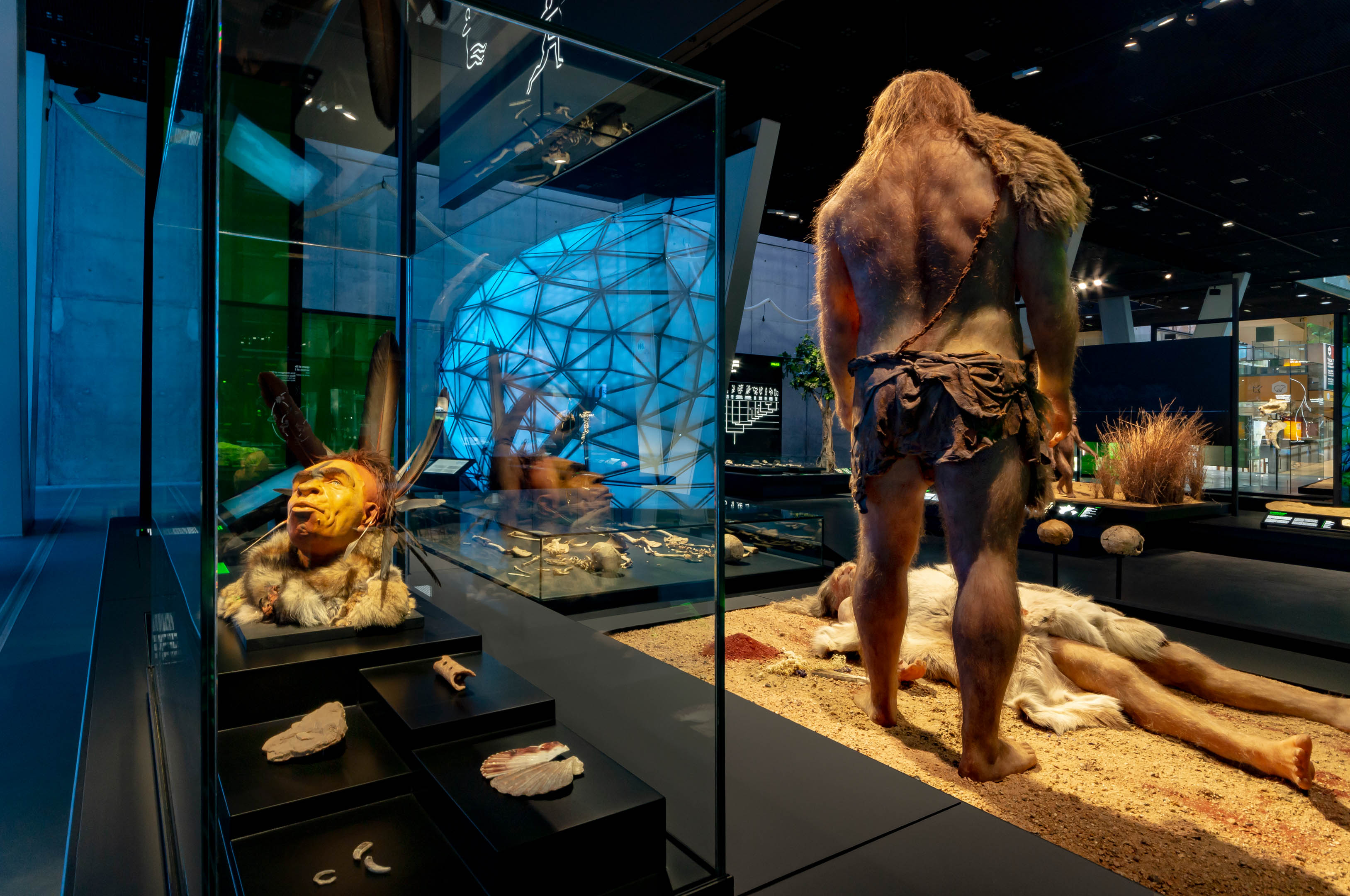 COSMOCAIXA NEW PERMANENT EXHIBITION by Indissoluble S.L. - Architizer