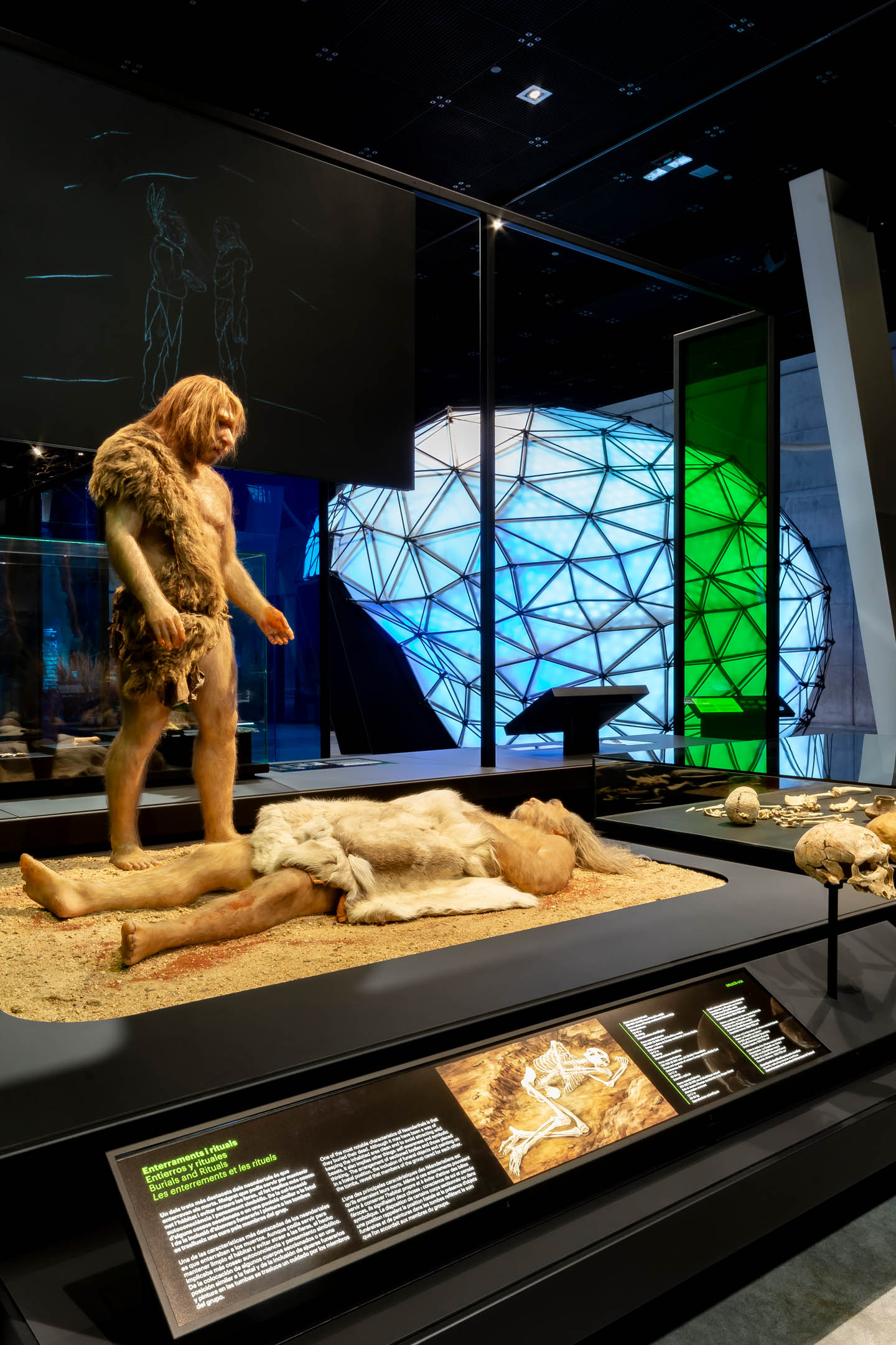 COSMOCAIXA NEW PERMANENT EXHIBITION by Indissoluble S.L. - Architizer