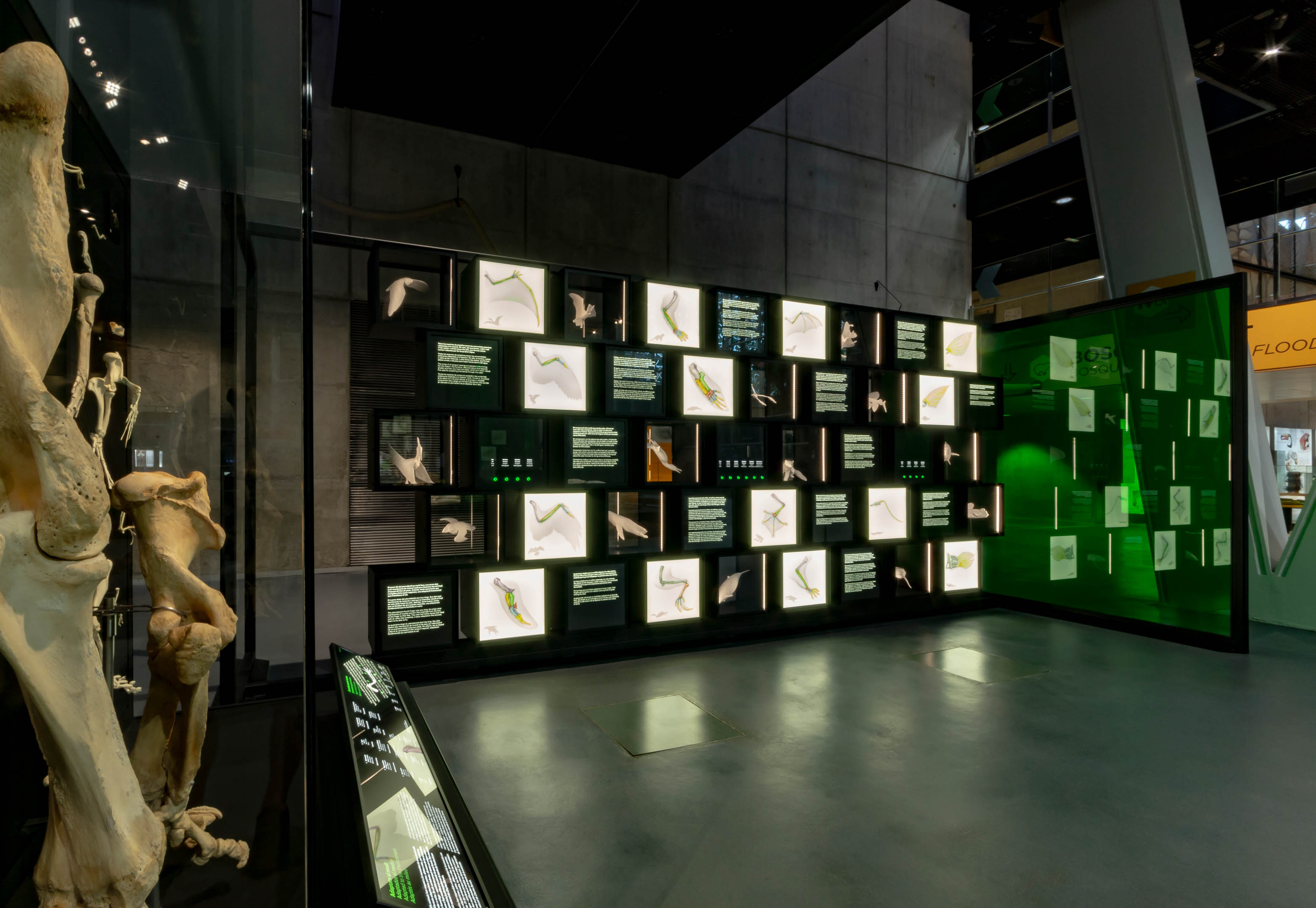 COSMOCAIXA NEW PERMANENT EXHIBITION by Indissoluble S.L. - Architizer