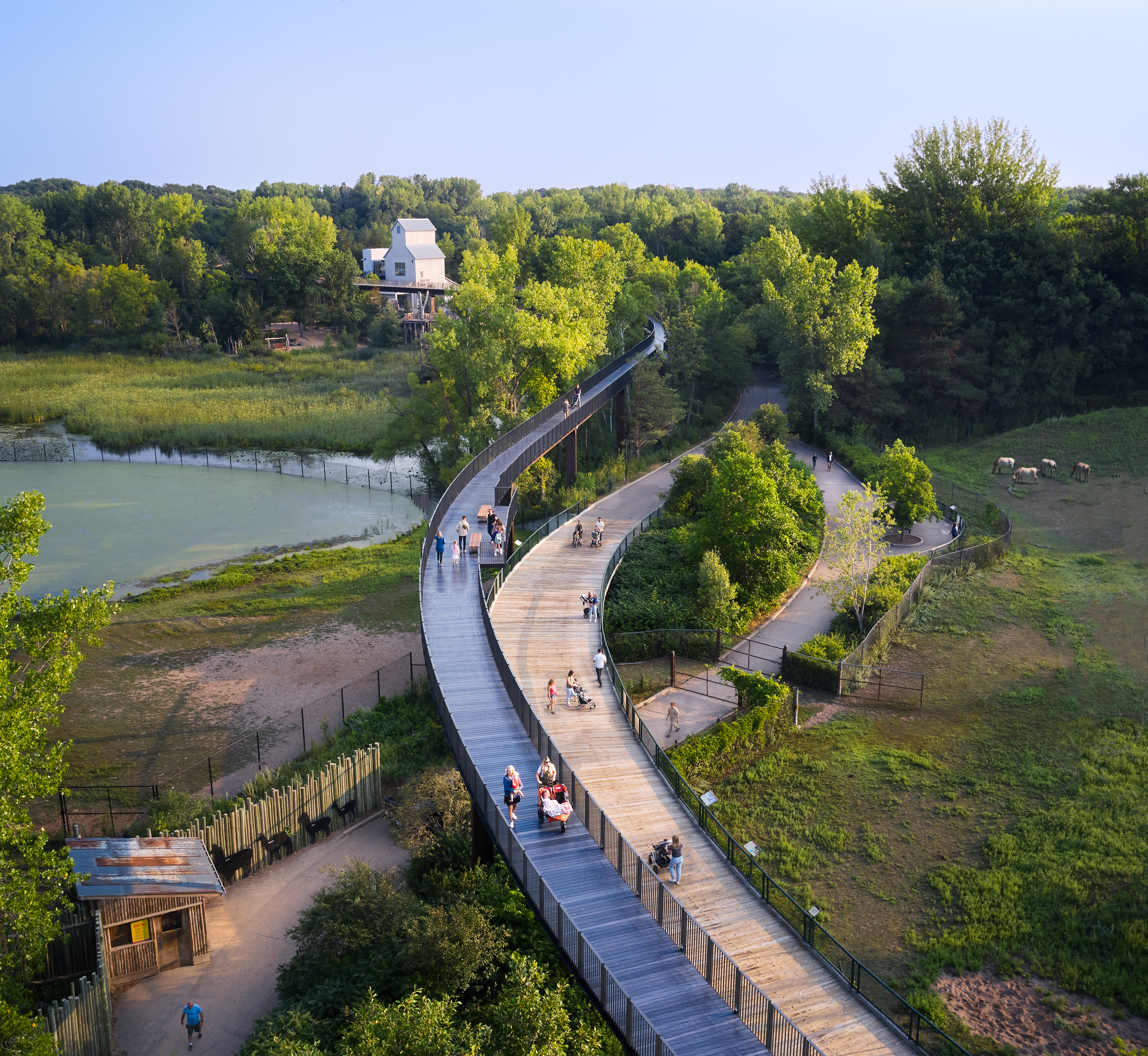 Treetop Trail at the Minnesota Zoo by Snow Kreilich Architects - Architizer