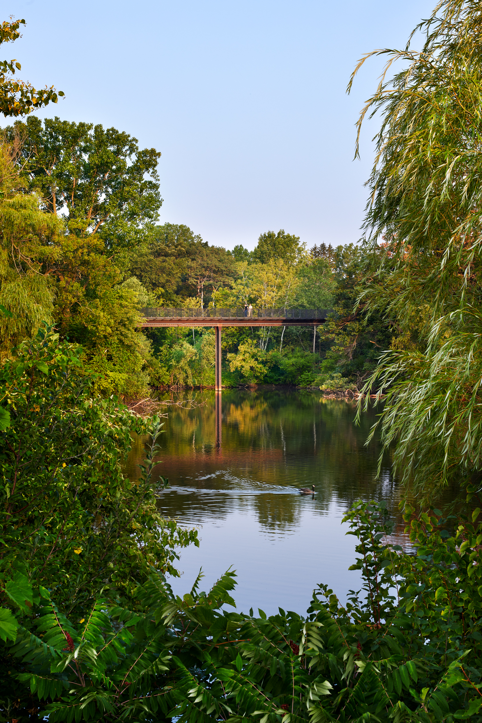 Treetop Trail at the Minnesota Zoo by Snow Kreilich Architects - Architizer