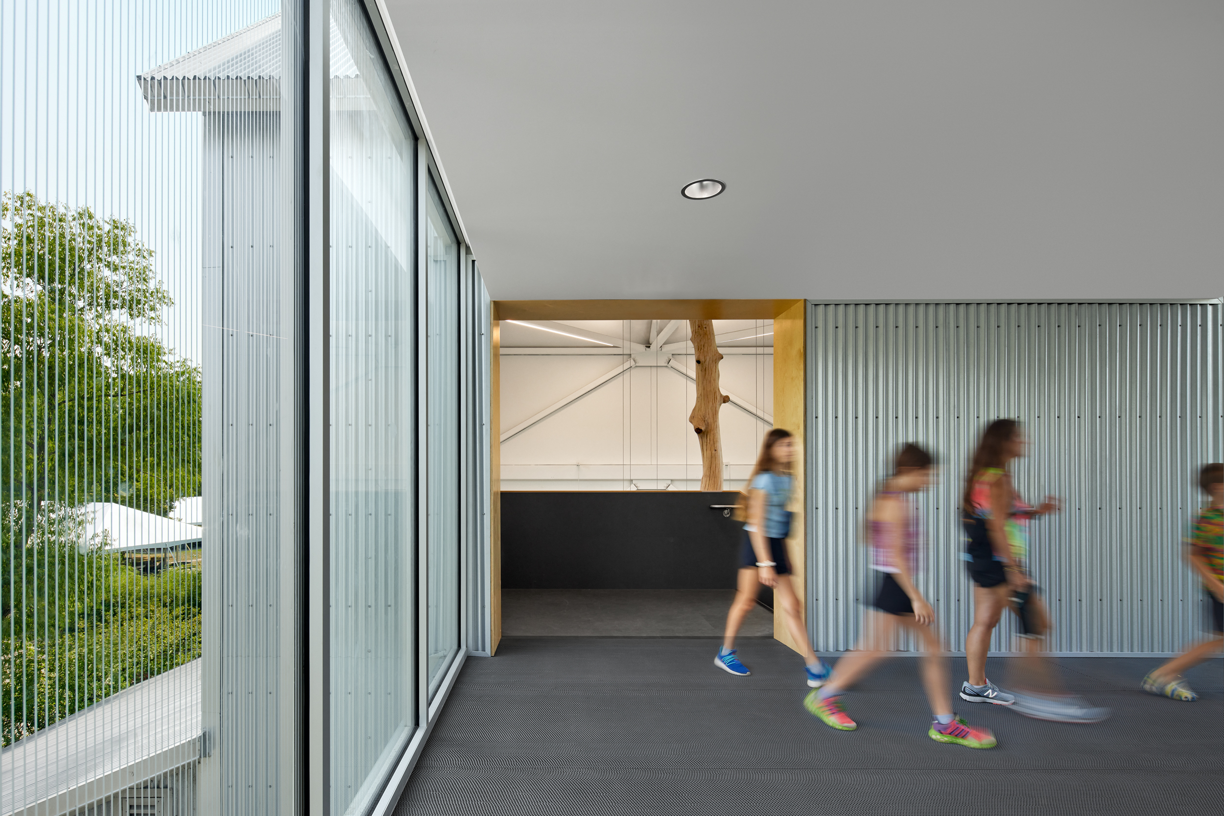 Treetop Trail at the Minnesota Zoo by Snow Kreilich Architects - Architizer