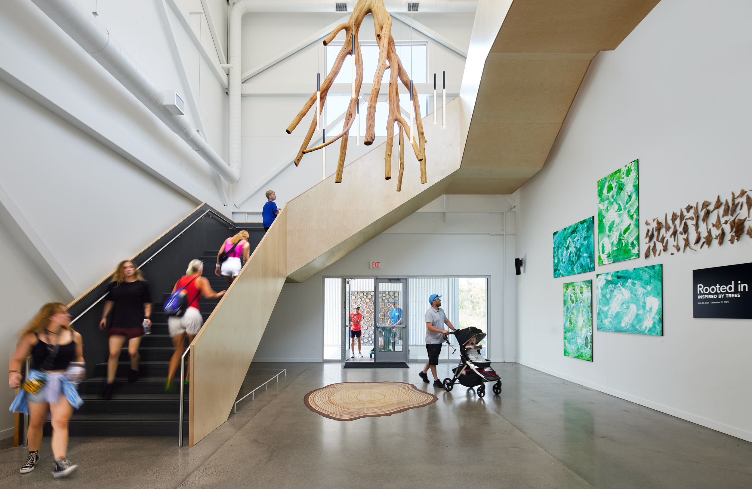 Treetop Trail at the Minnesota Zoo by Snow Kreilich Architects - Architizer