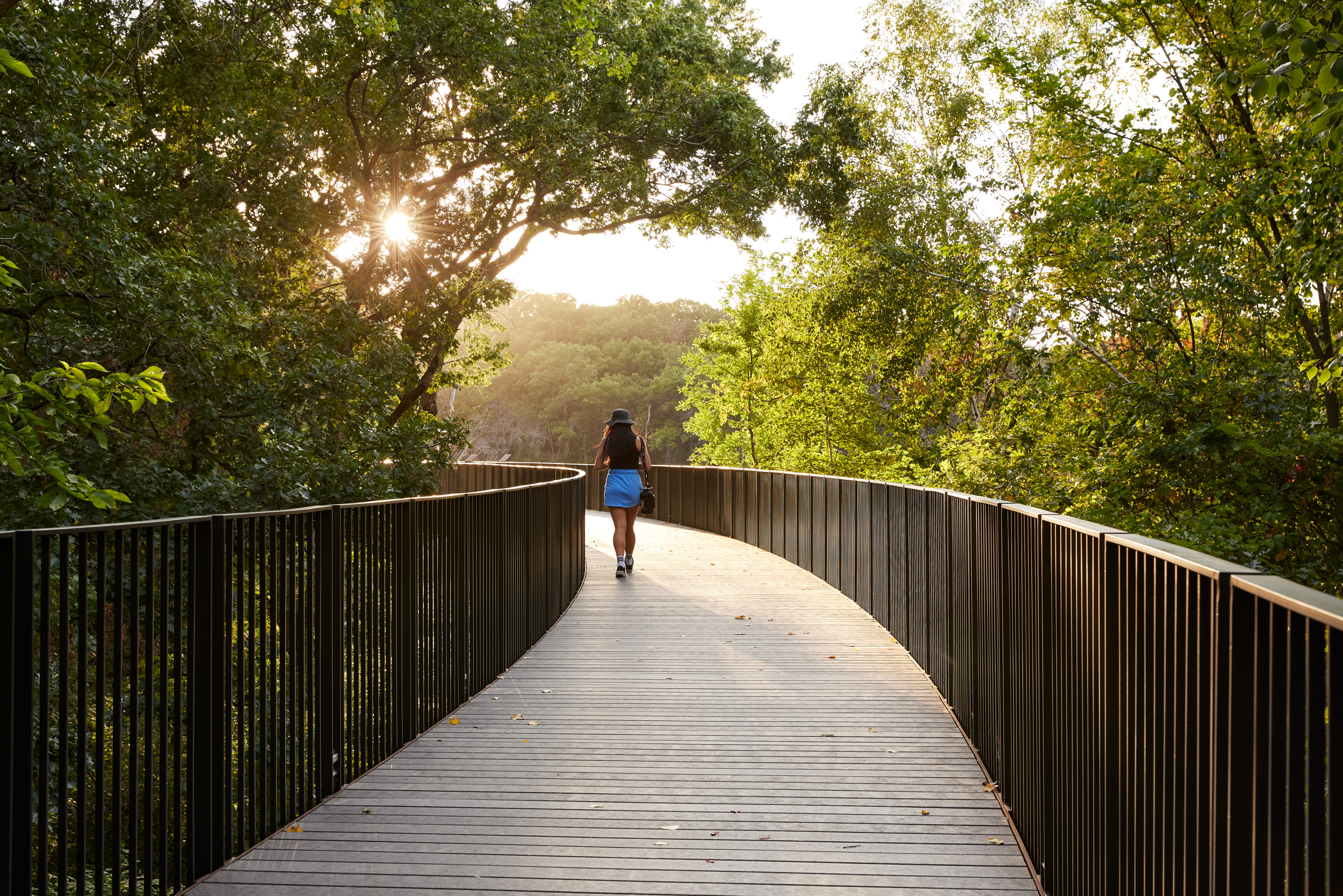 Treetop Trail at the Minnesota Zoo by Snow Kreilich Architects - Architizer