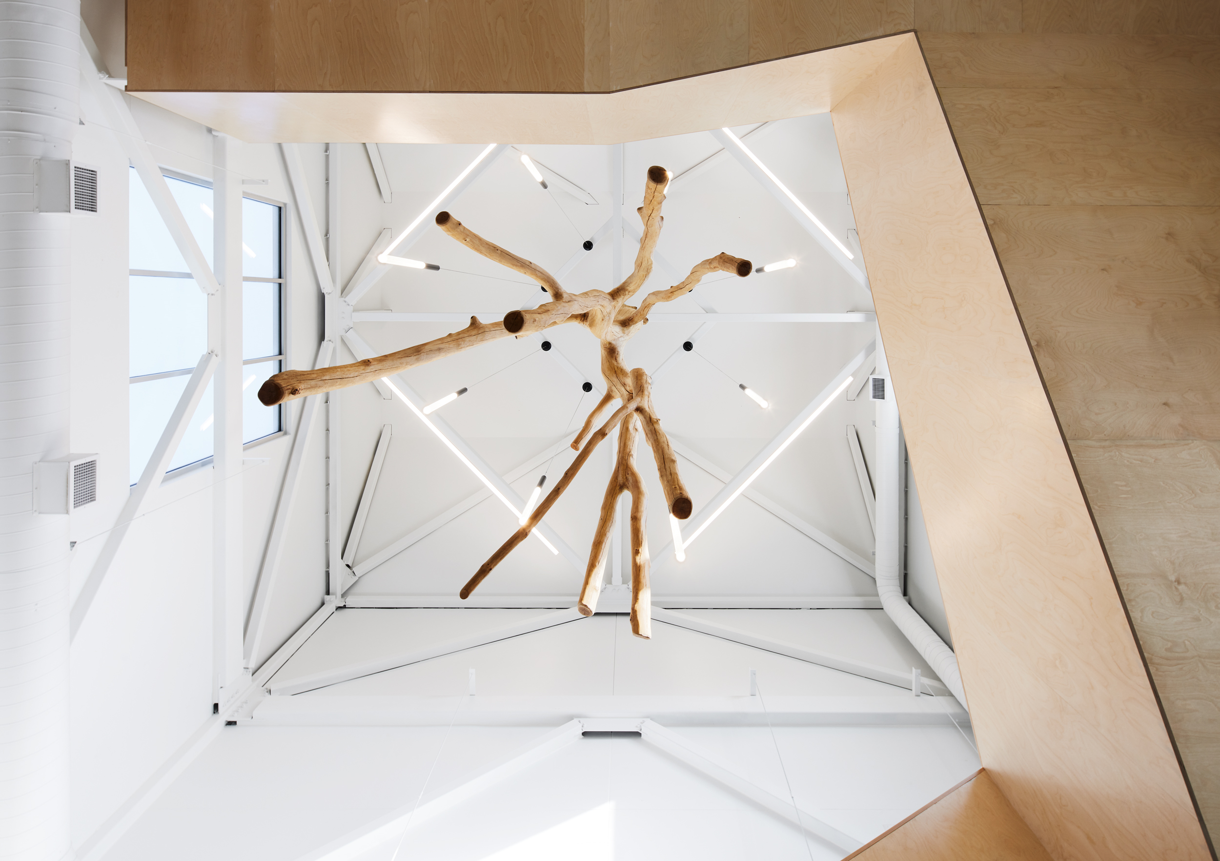 Treetop Trail at the Minnesota Zoo by Snow Kreilich Architects - Architizer
