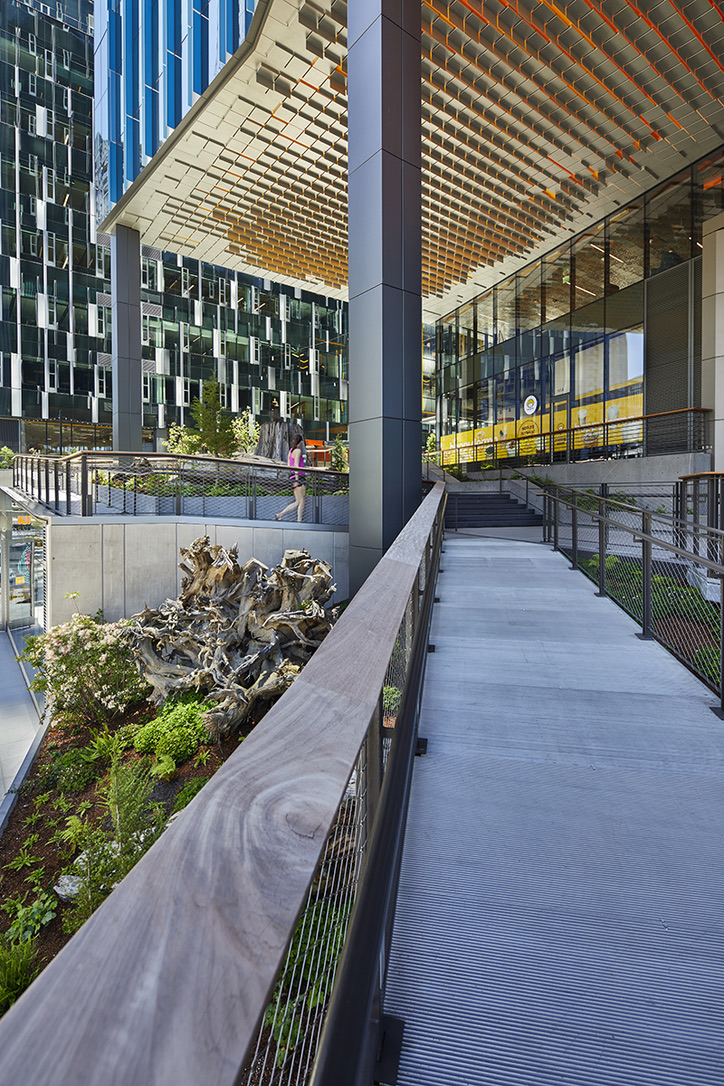 Nitro by Graphite Design Group - Architizer