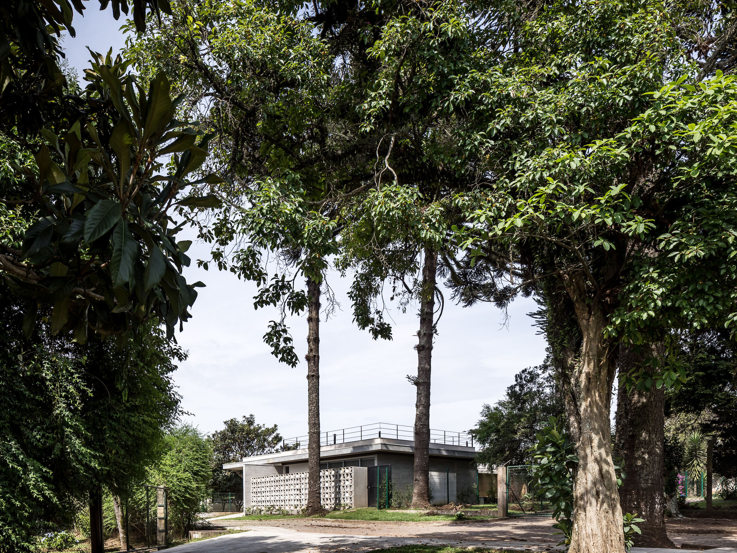 Aurora House by Nommo Arquitetos - Architizer