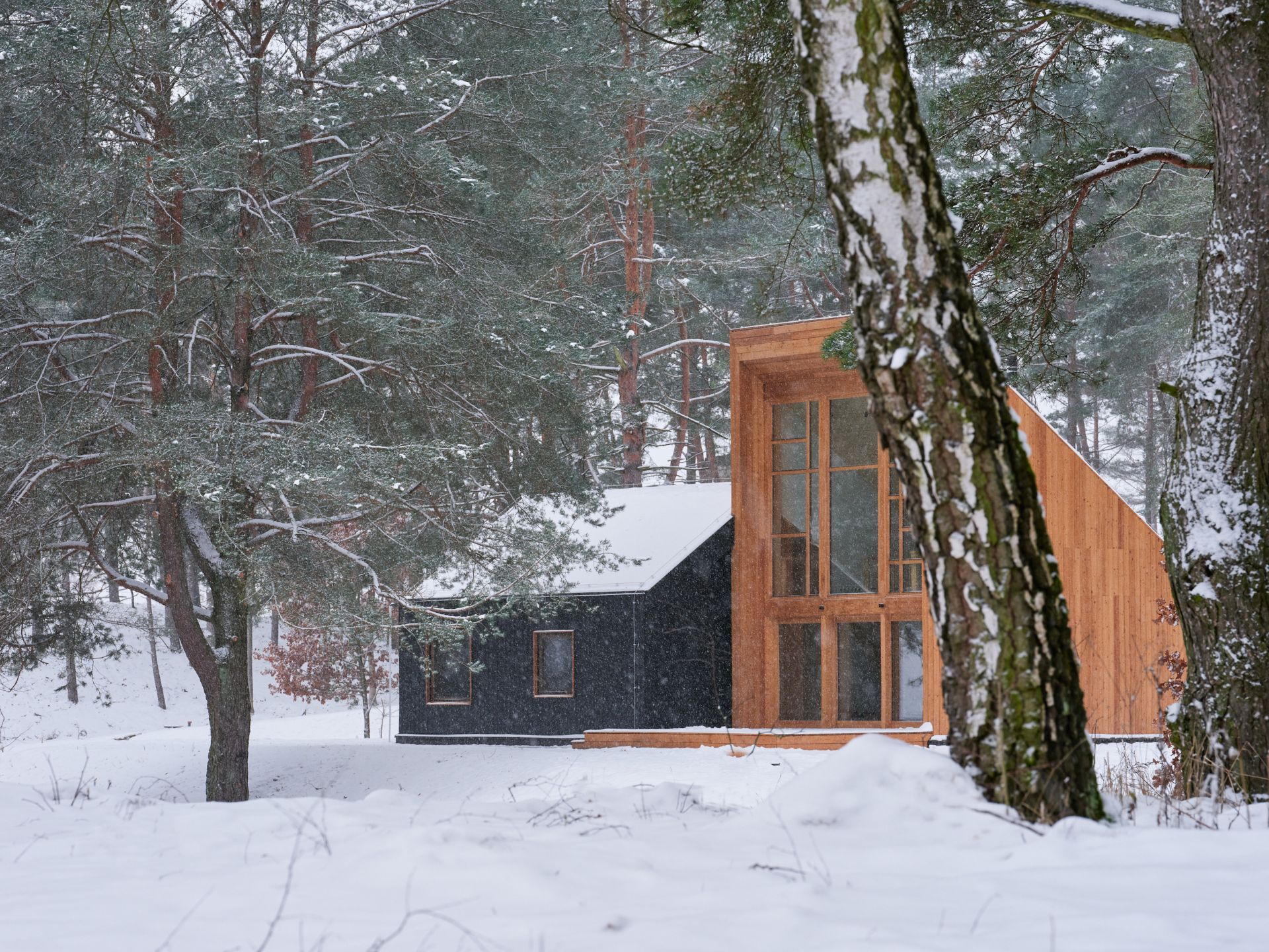 Kalbornia Mazury by Boris Kudlička with Partners - Architizer