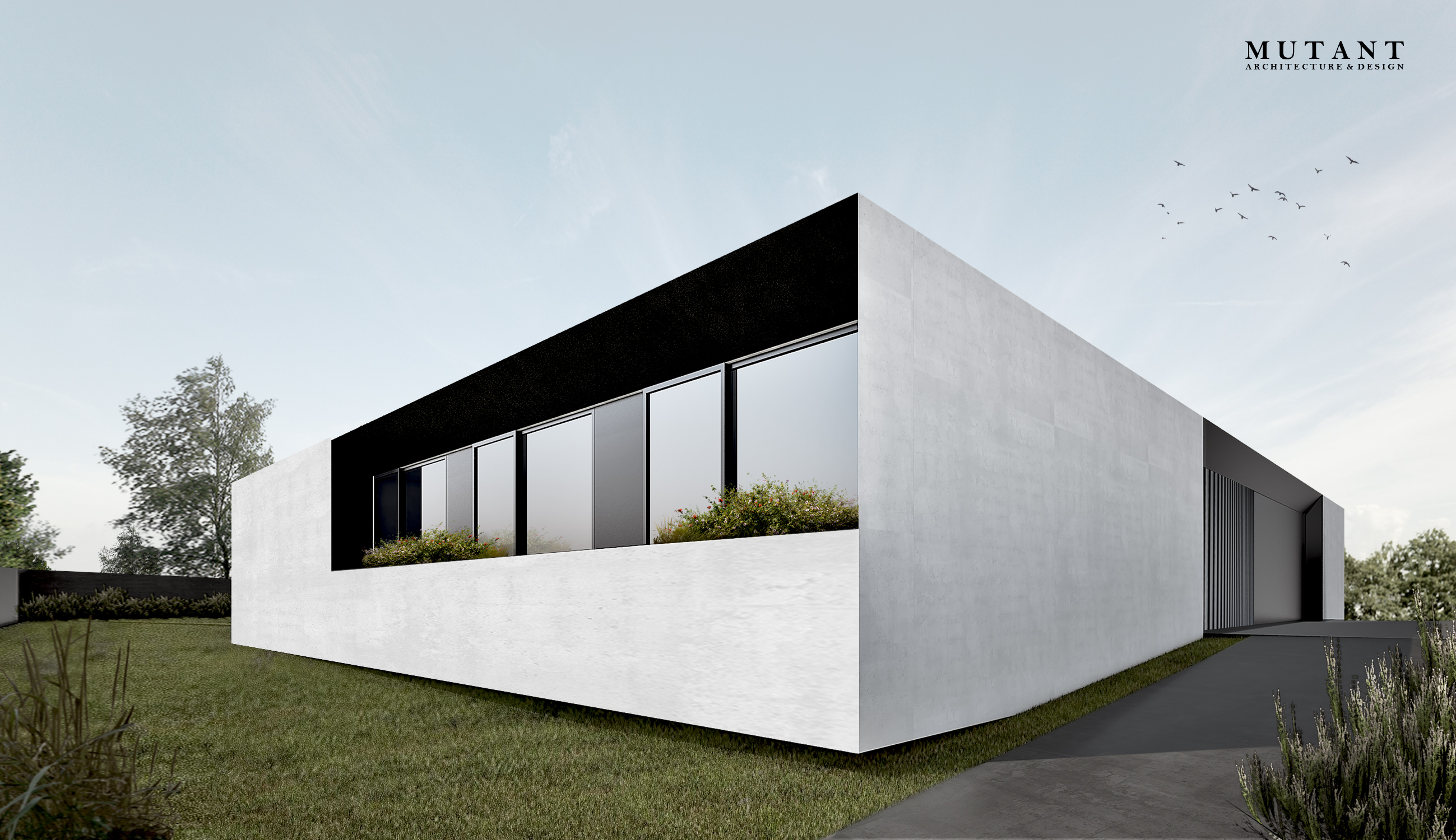 TILT HOUSE by MUTANT ARQUITECTURA & DESIGN - Architizer