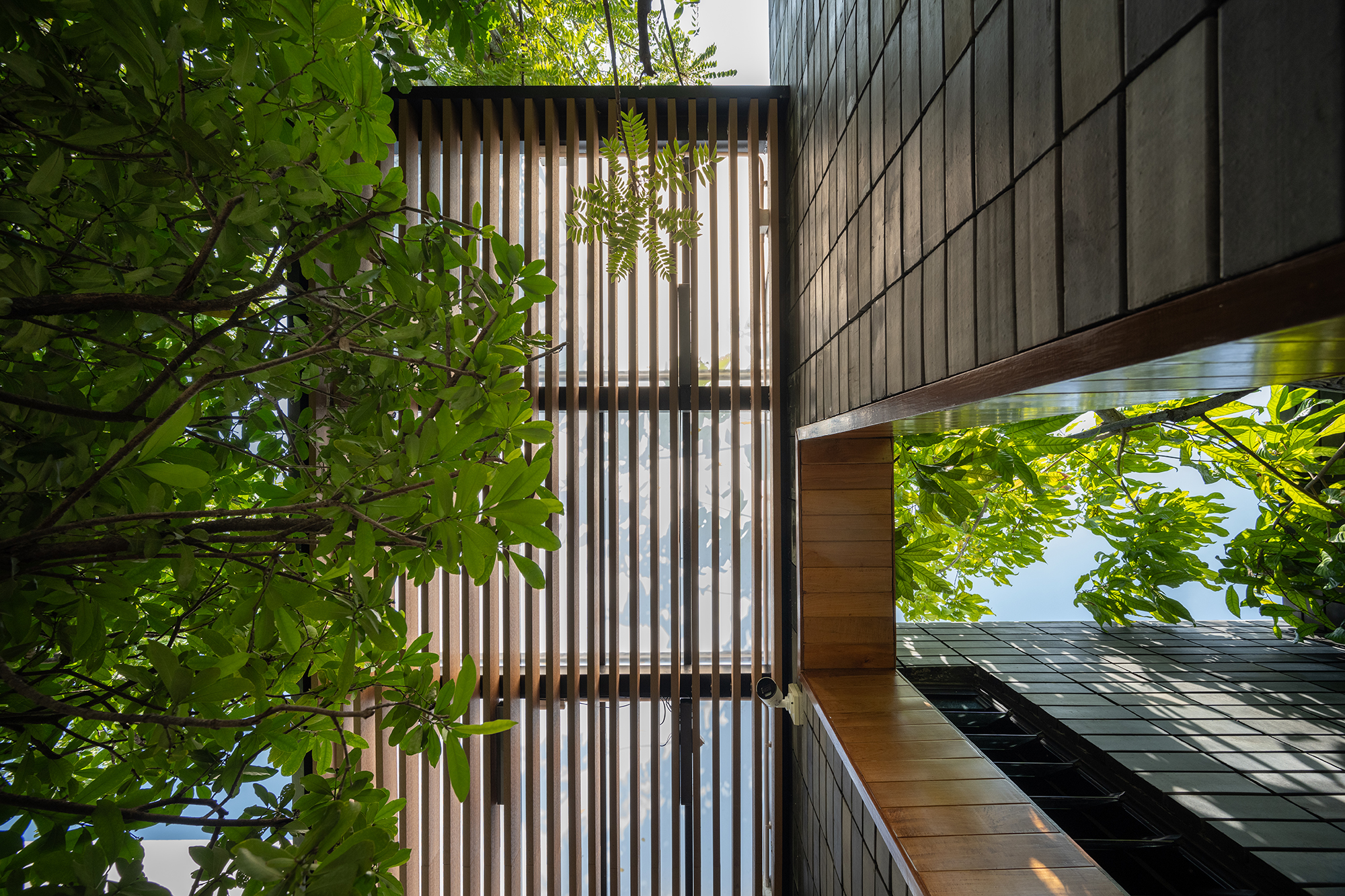 Tree's House by Studio Bewell - Architizer