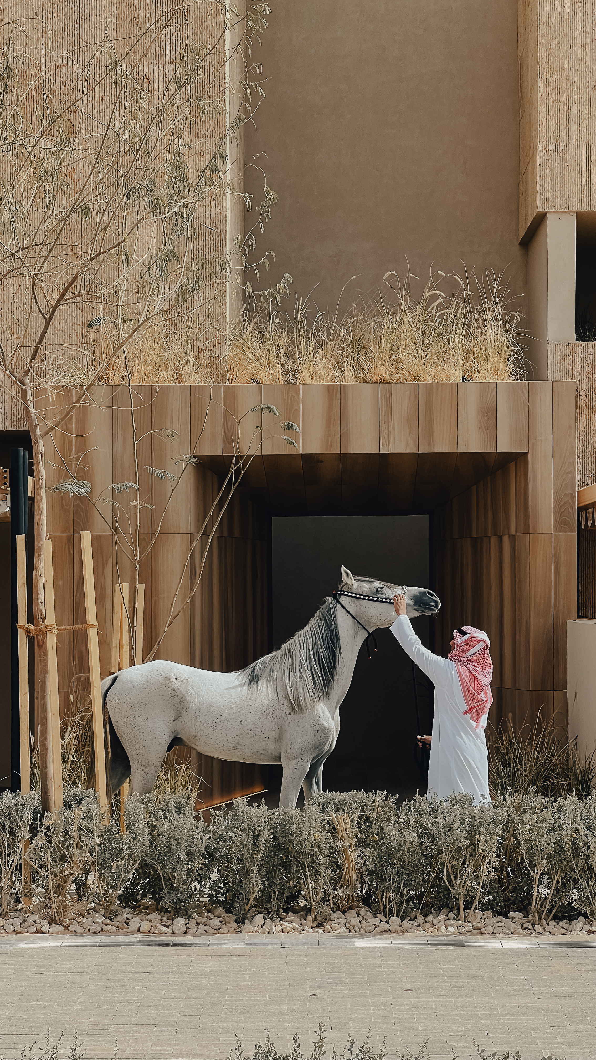 Fai Sedra by BM Architects - Architizer