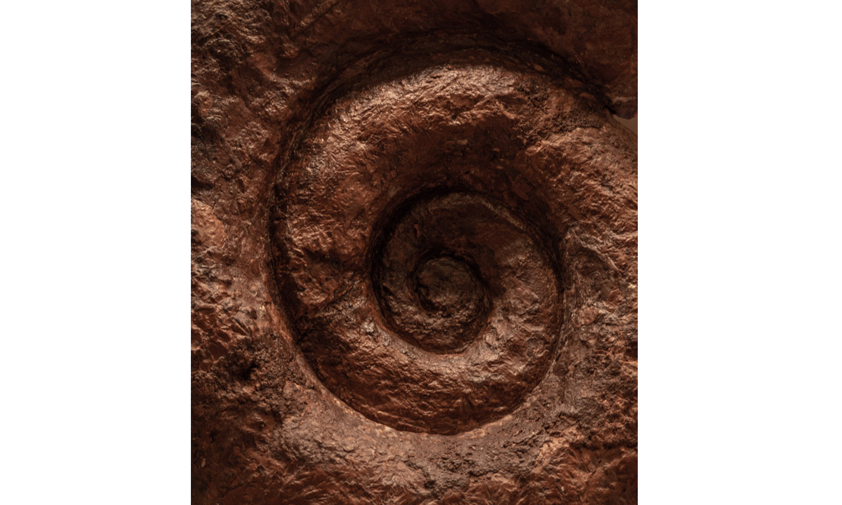 natural history museum in the weiherburg castle by mahore architects ...