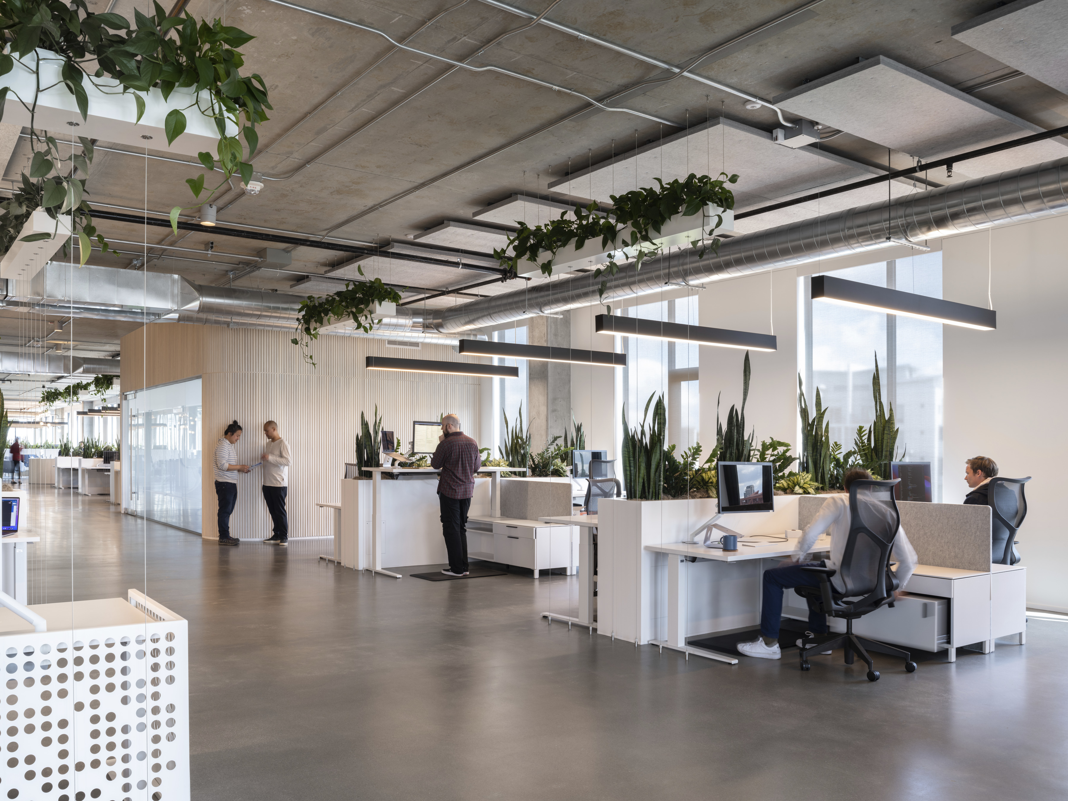 Brainium Studios by Hacker - Architizer