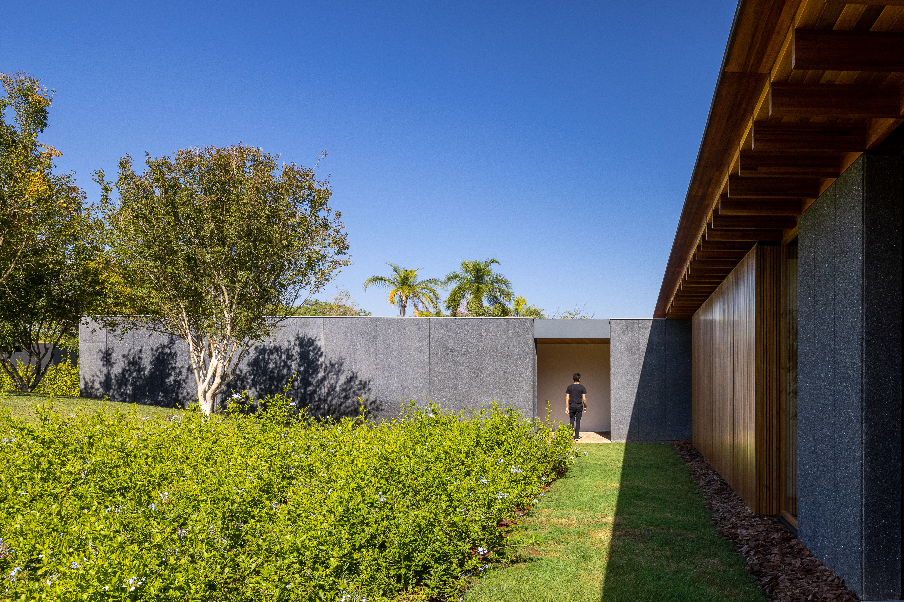 Madeira House by Matheus Farah e Manoel Maia Arquitetura - Architizer