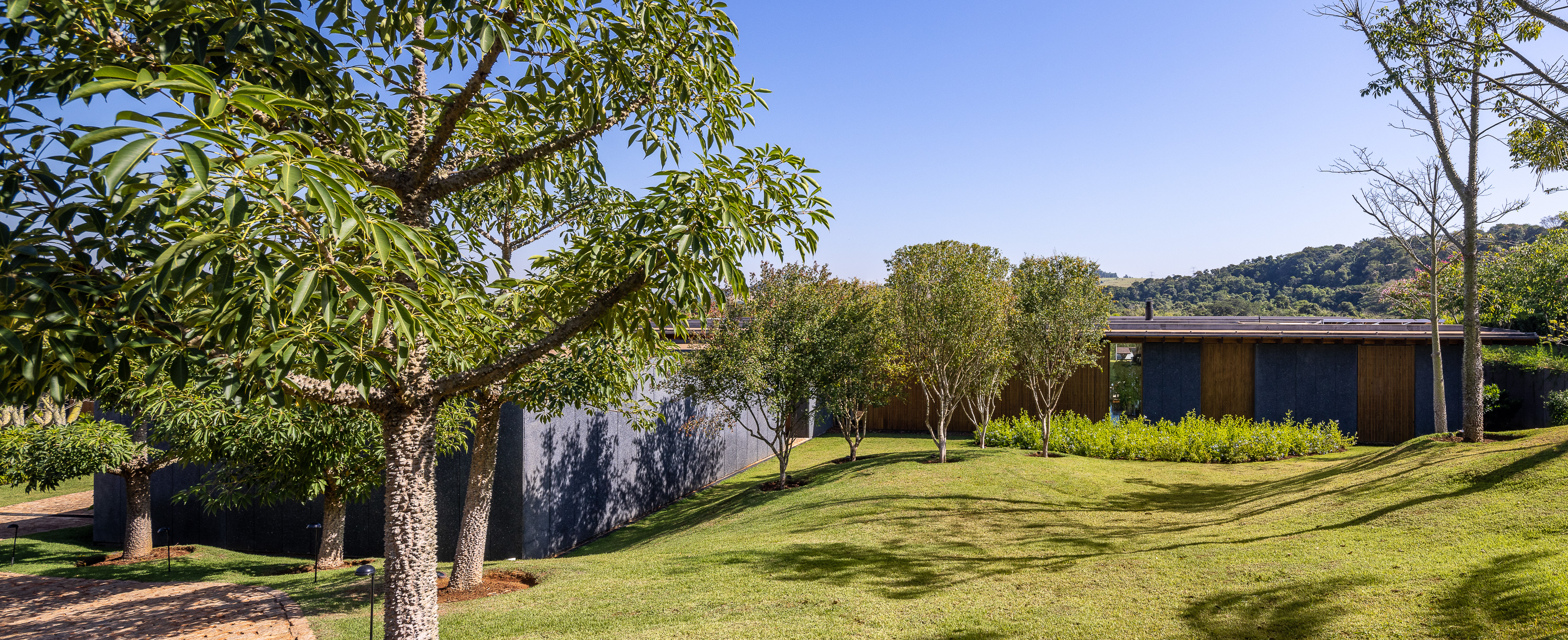 Madeira House by Matheus Farah e Manoel Maia Arquitetura - Architizer