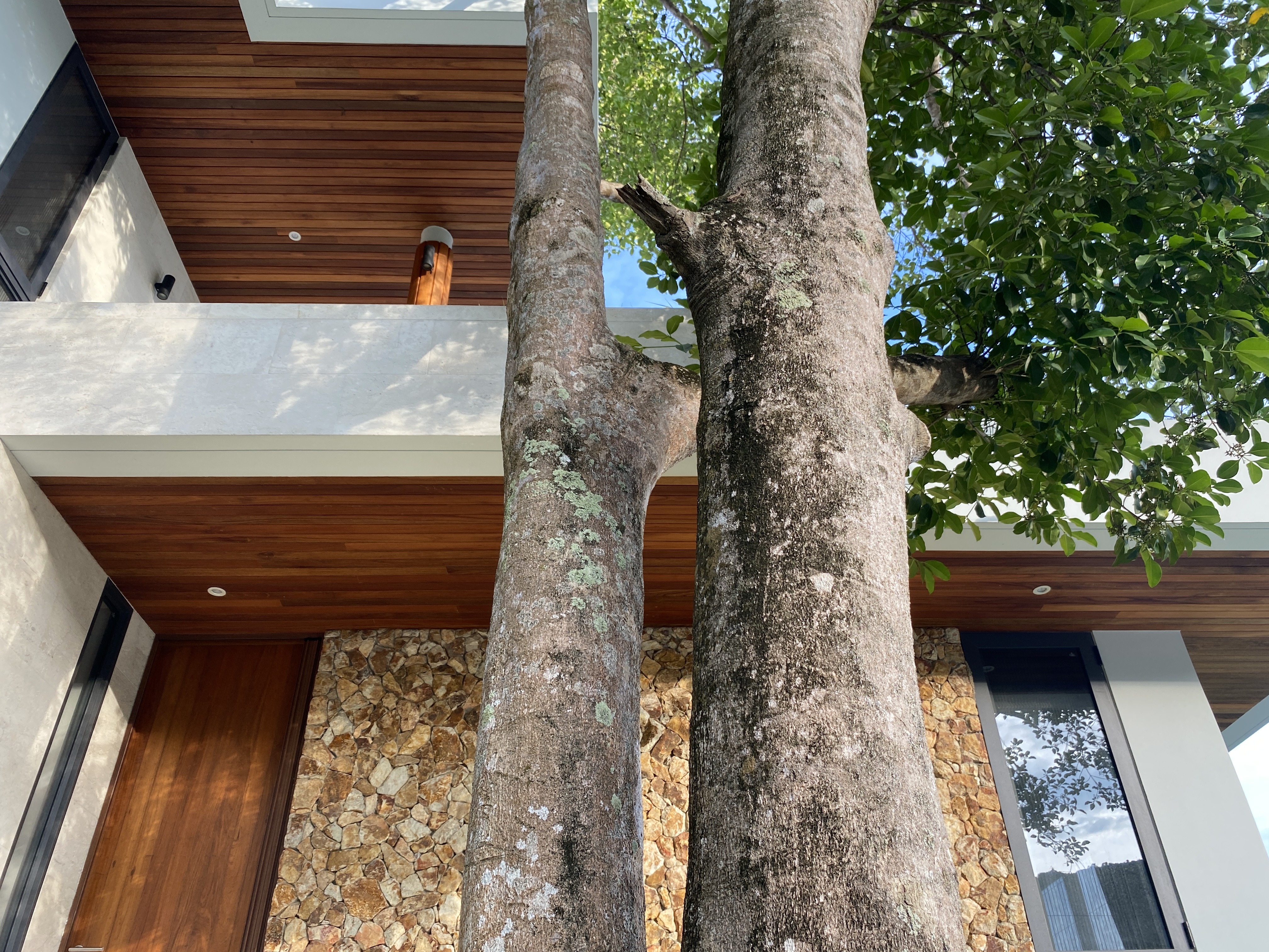 Jungle House by BAYA LUXURY DESIGN - Architizer