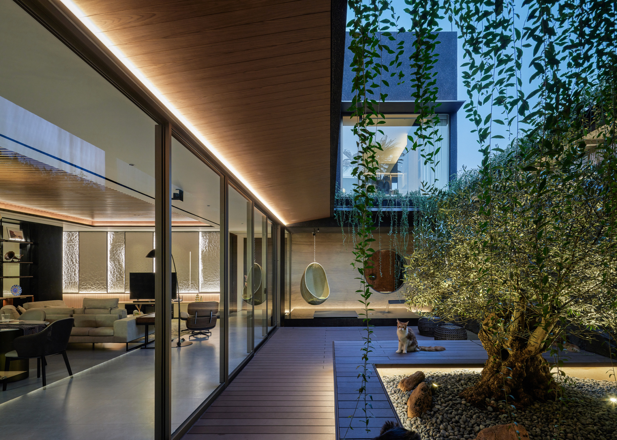 Maine Coon House by Patio Livity - Architizer