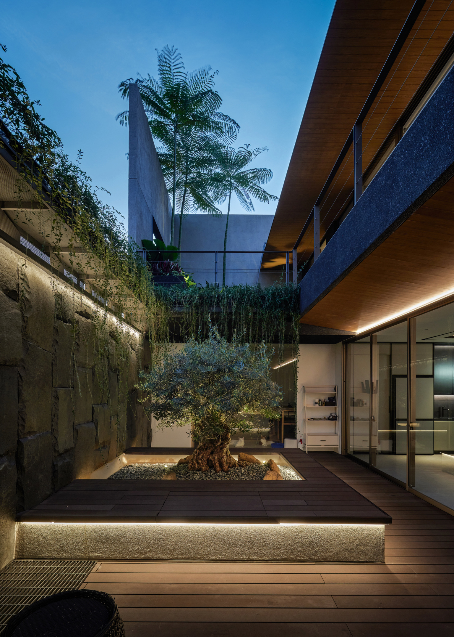 Maine Coon House by Patio Livity - Architizer