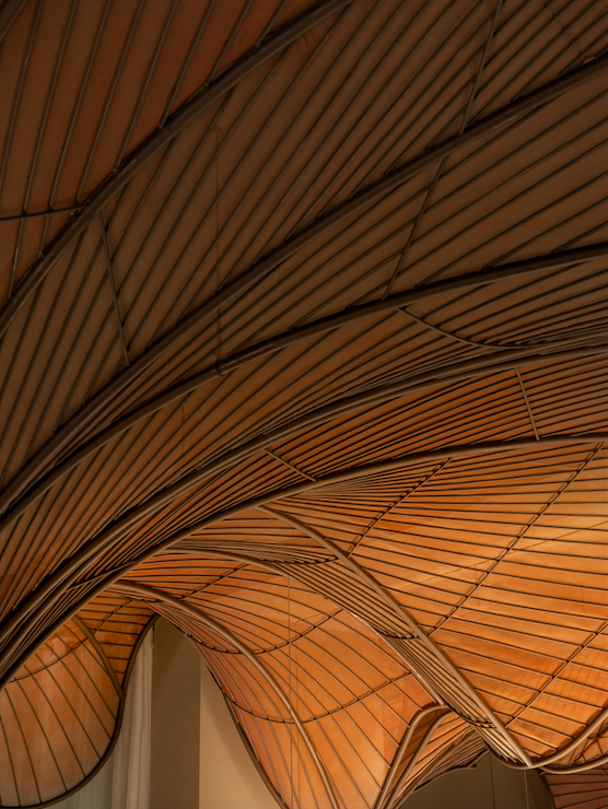 Jingle Design studio highlights installation art at Tang talk ...