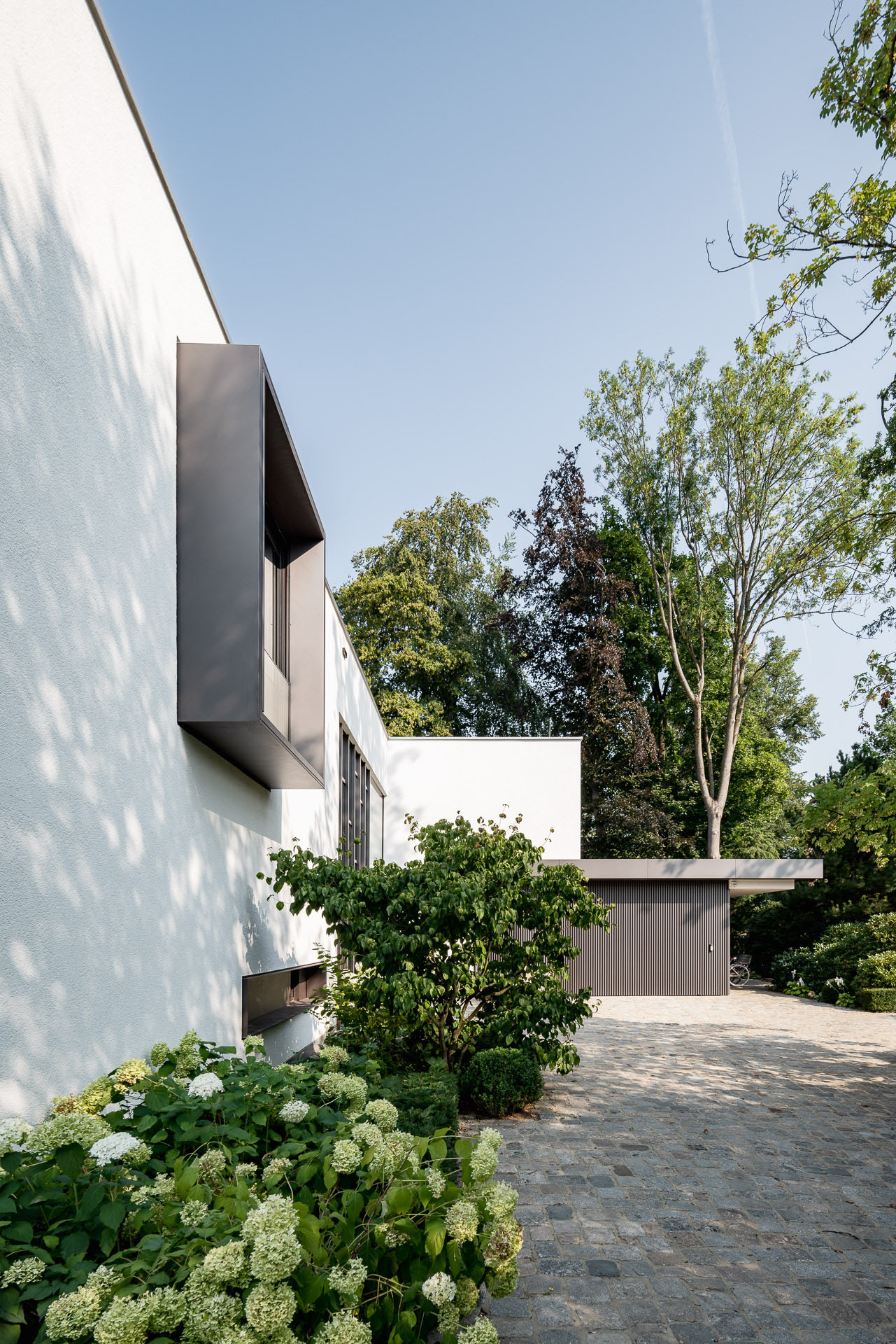 House L019 by Stephan Maria Lang Architects - Architizer