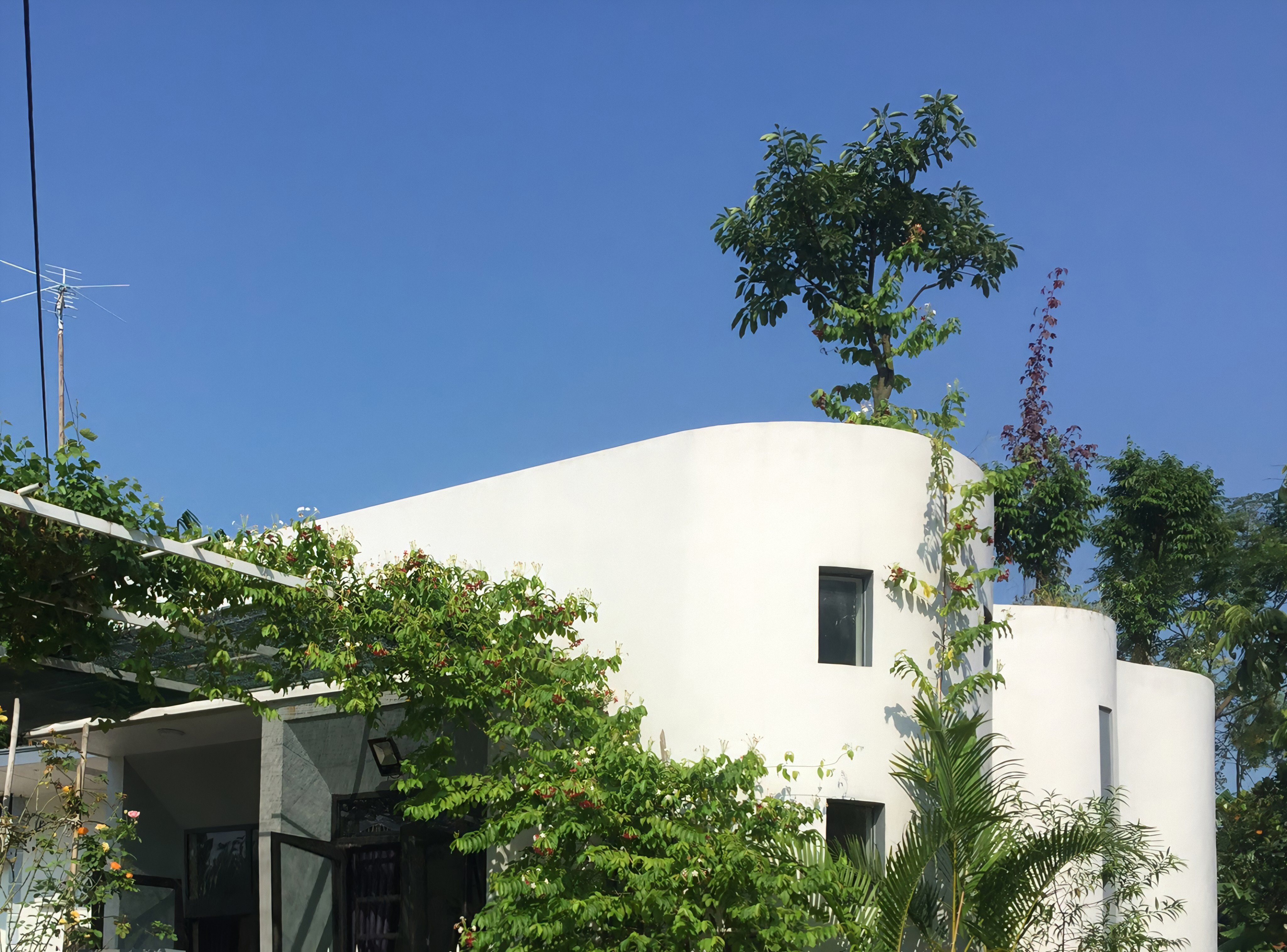 Curve House in Quang Ninh by Tung Nguyen Architects - Architizer