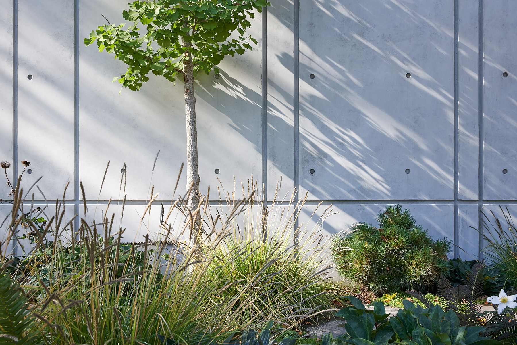 Riley Park Residence by Frits de Vries Architects + Associates Ltd ...