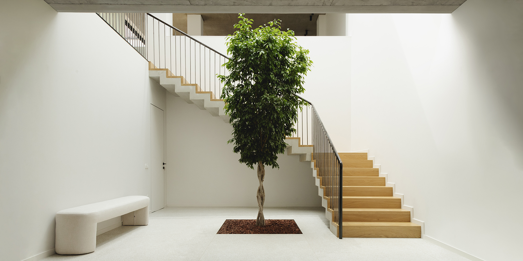Idea 3889544: House around the tree by TIMM Architecture in Tbilisi ...